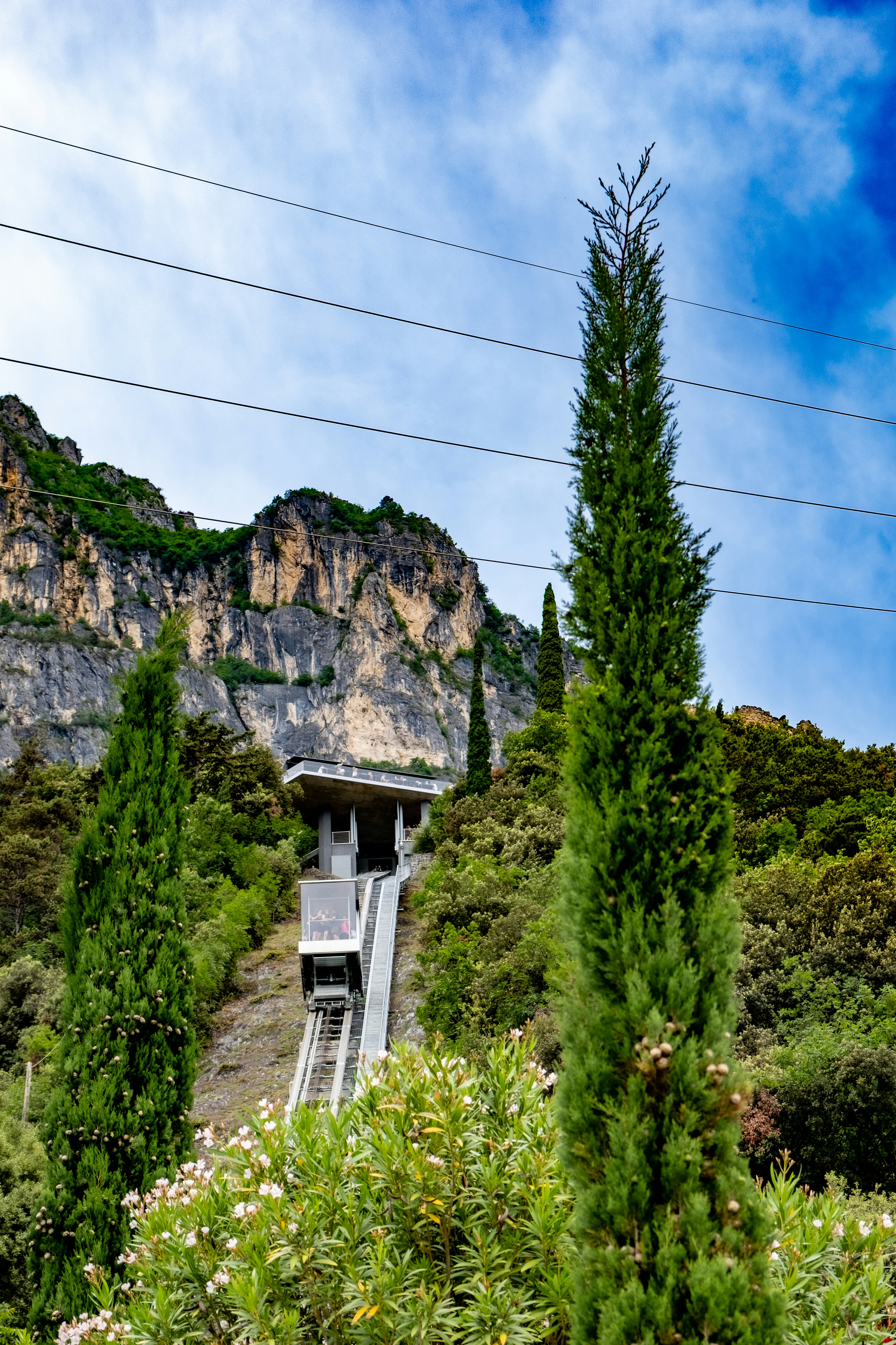 Cable Car Climb Through Cypress Alley