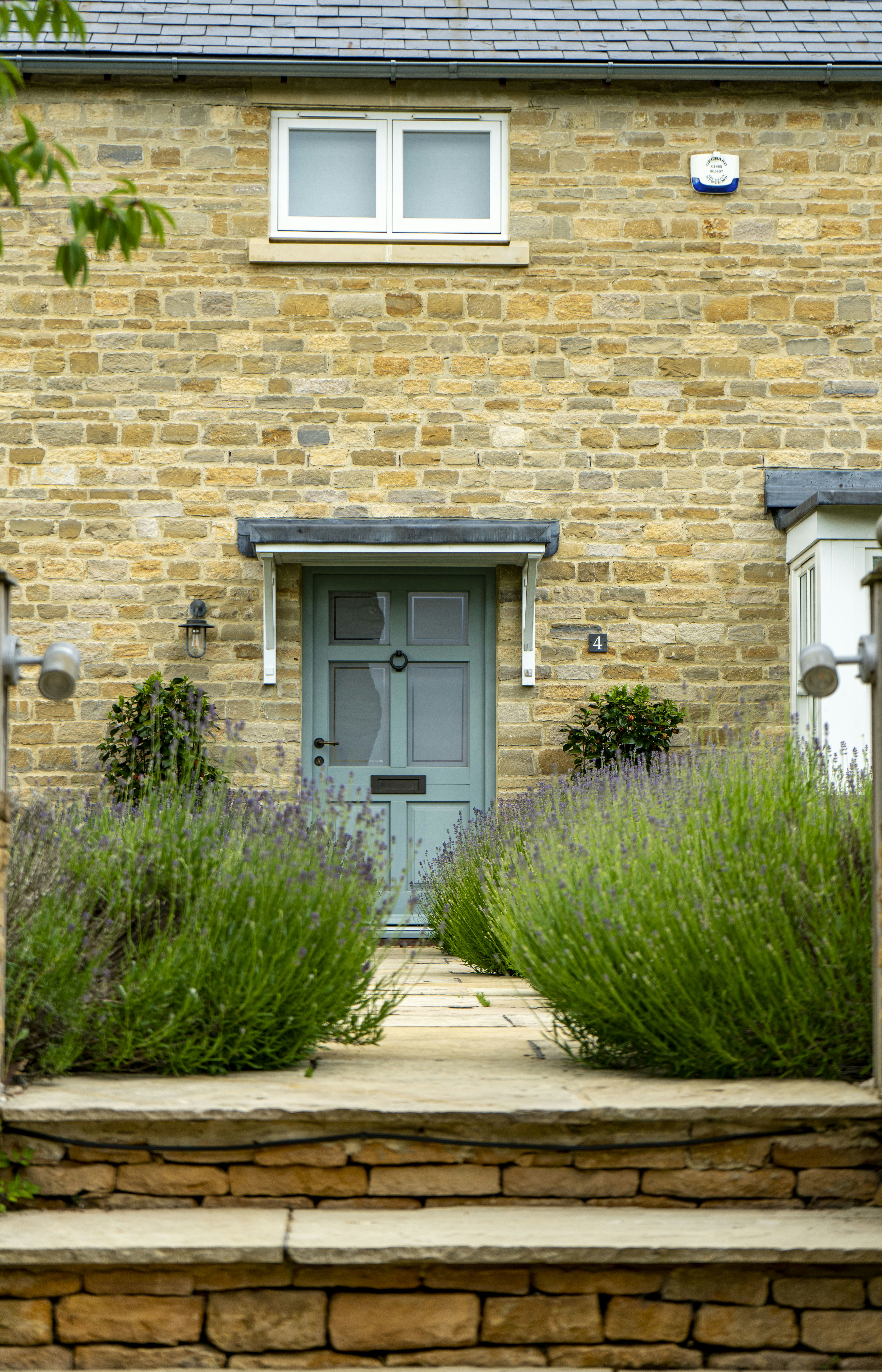 Teal Doorway Between Lavender Hedges