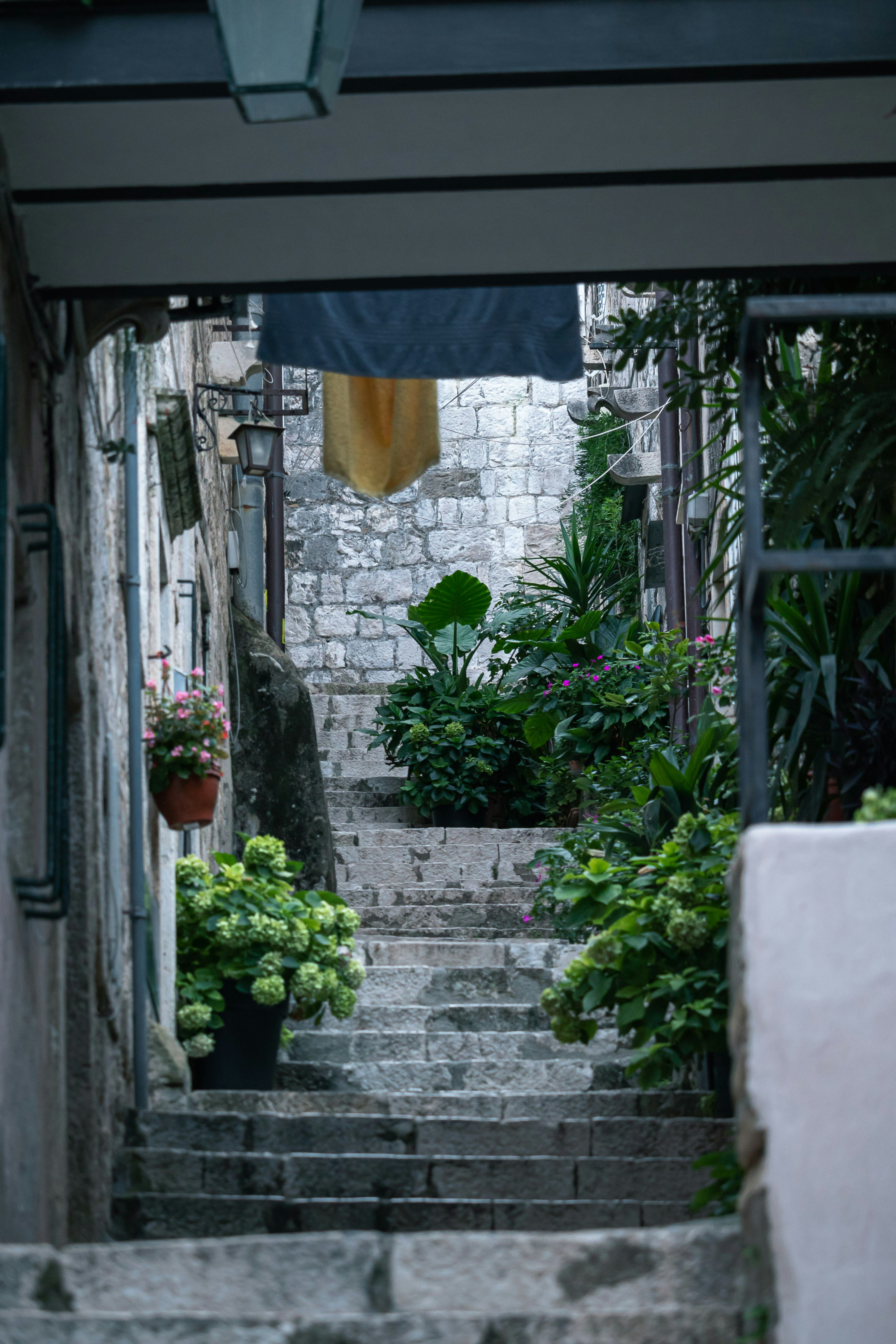 A Quiet Staircase Garden Between Stone Walls
