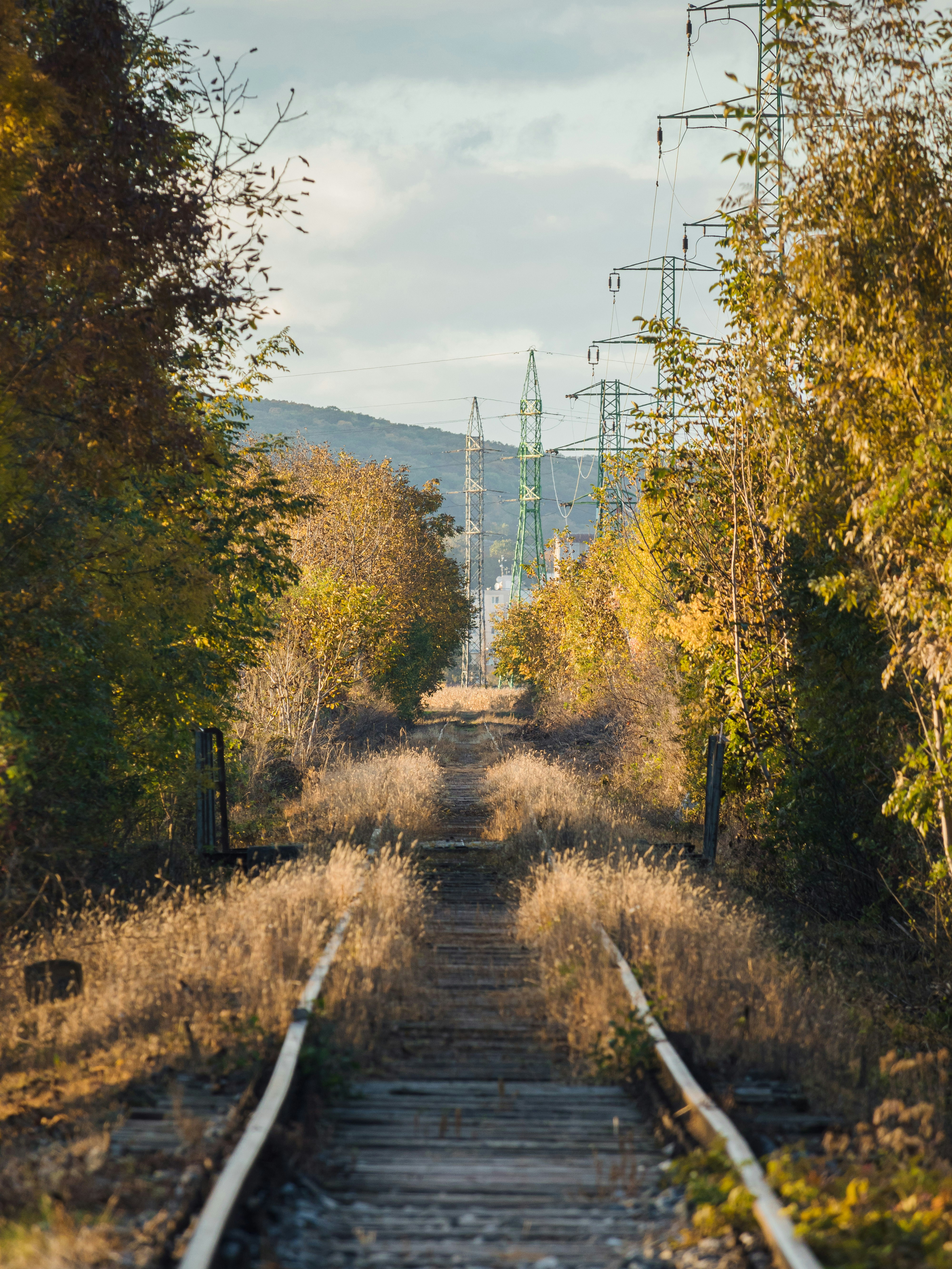Rust and Rails: A Quiet Descent Through Autumn's Echo