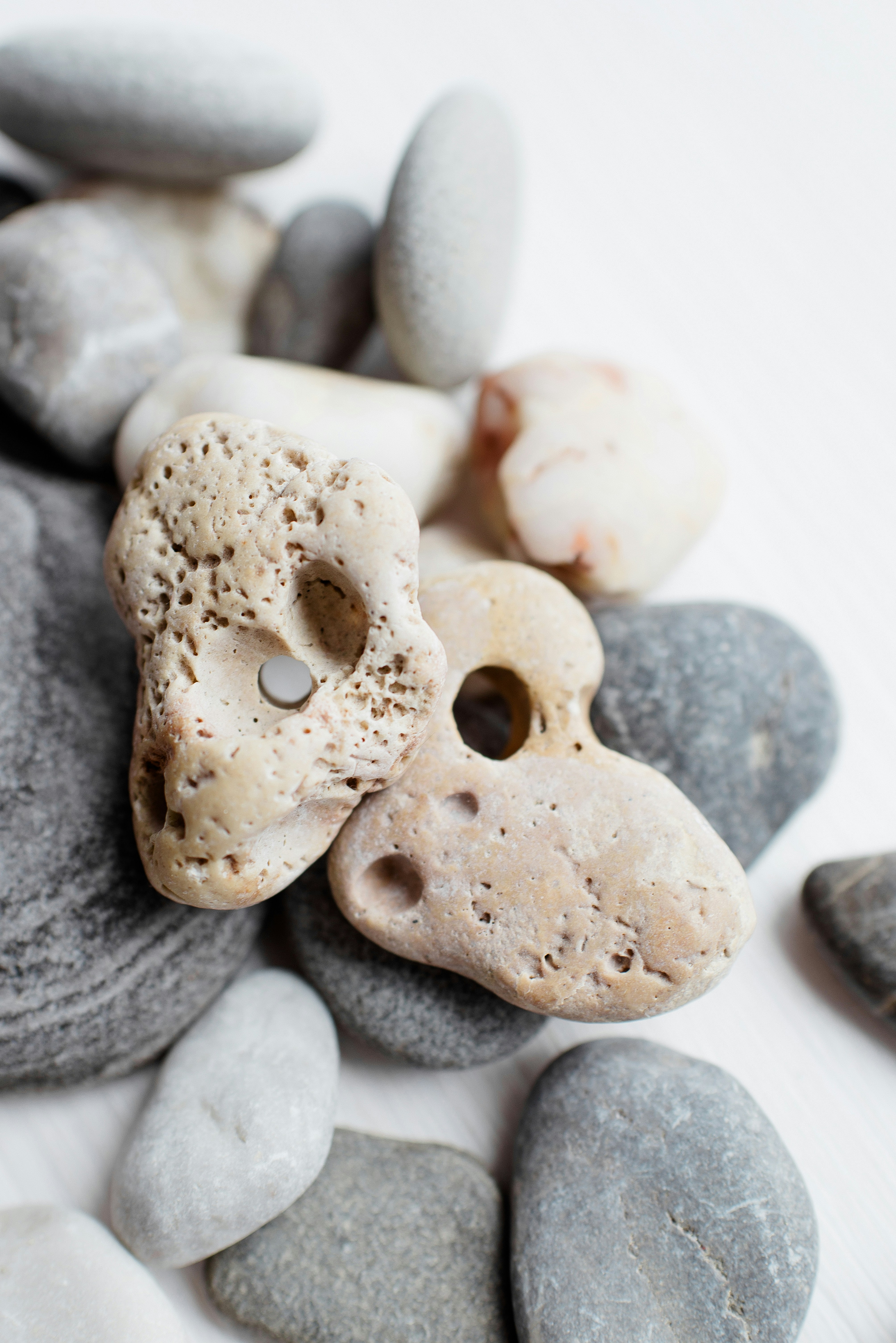 Pebble Portrait: A Quiet Assembly of Natural Porosity and Stone