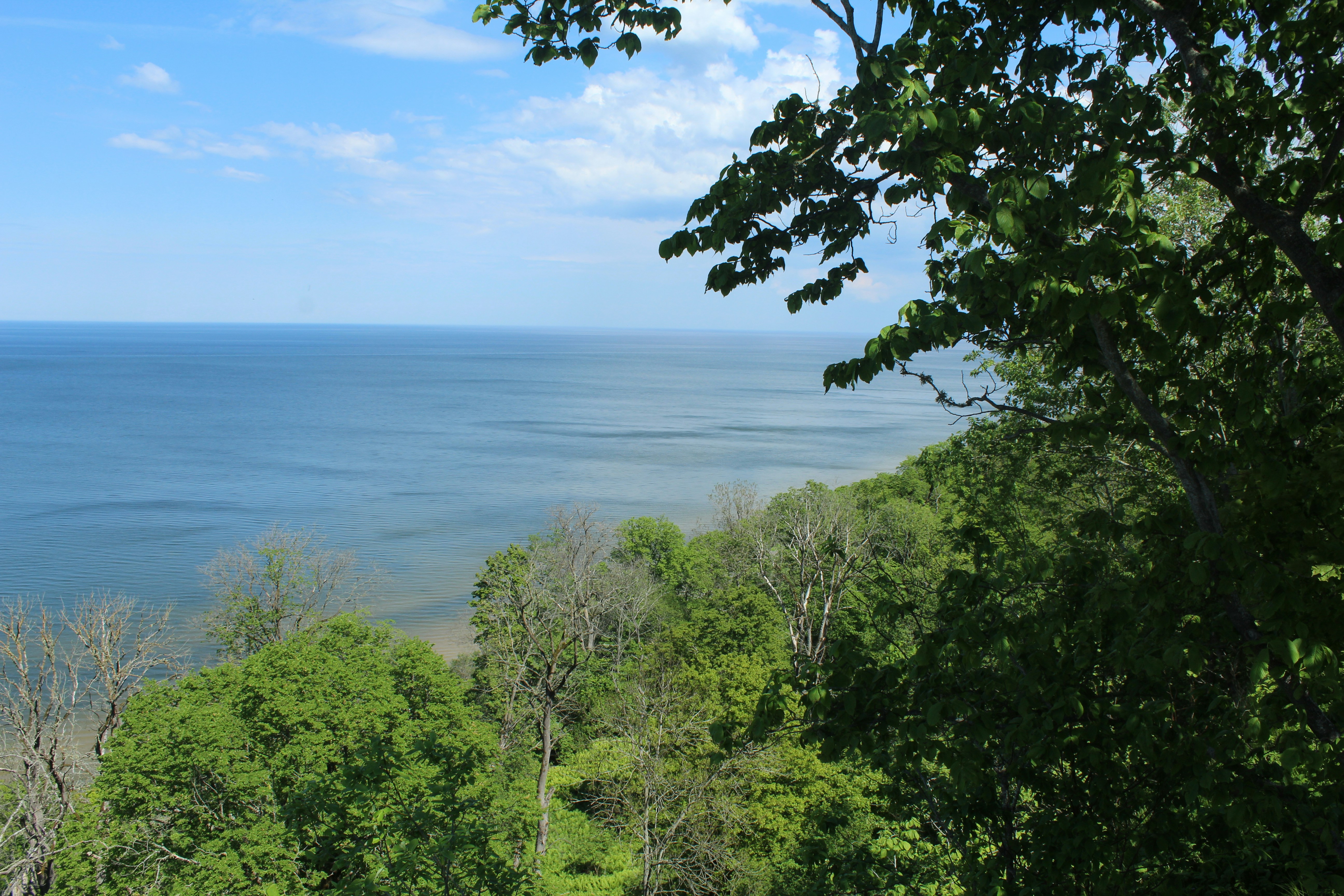 Vista from the Ridge: Lake, Trees, and Open Sky