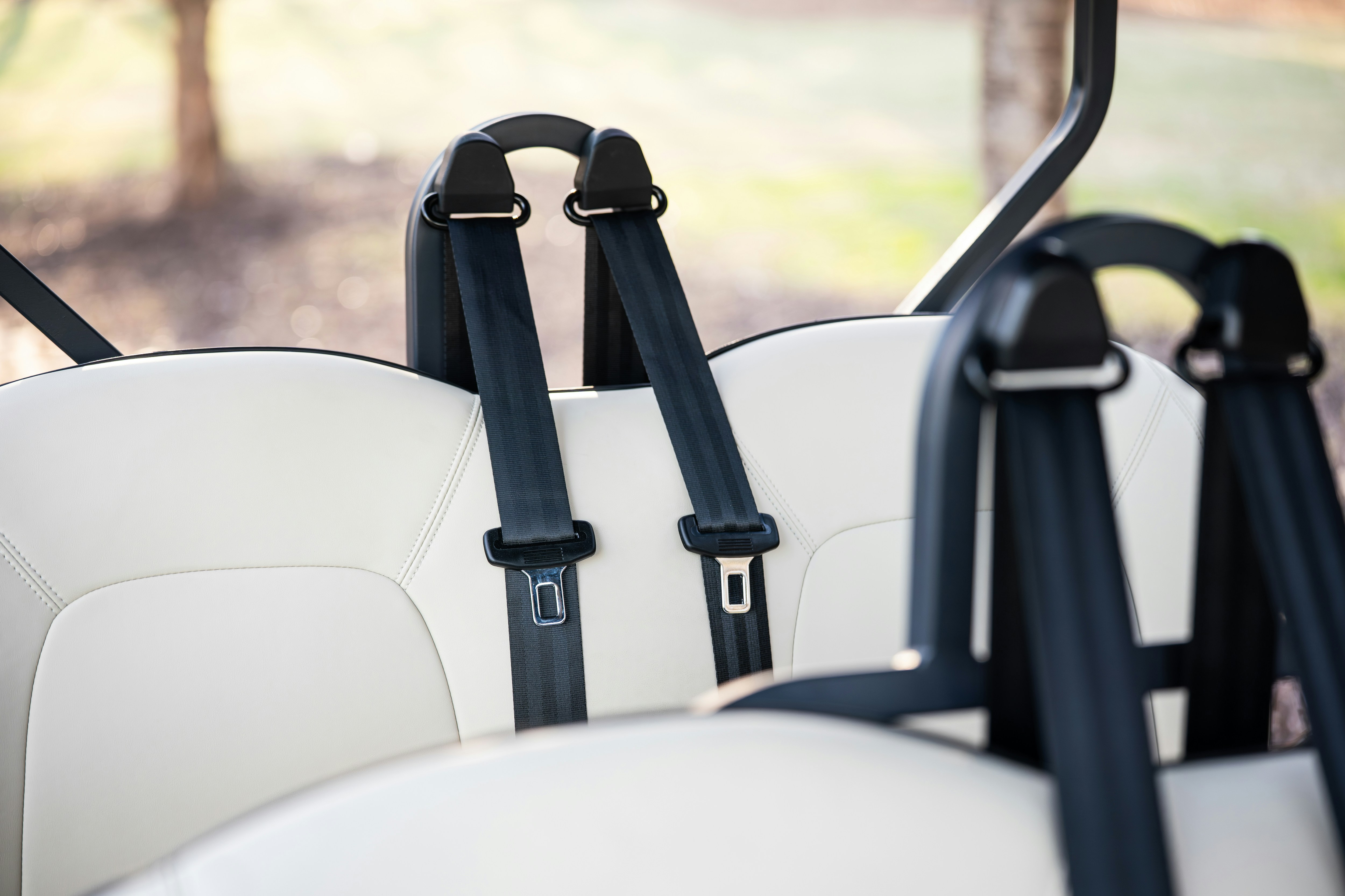 Seatbelts in the Soft Morning Light