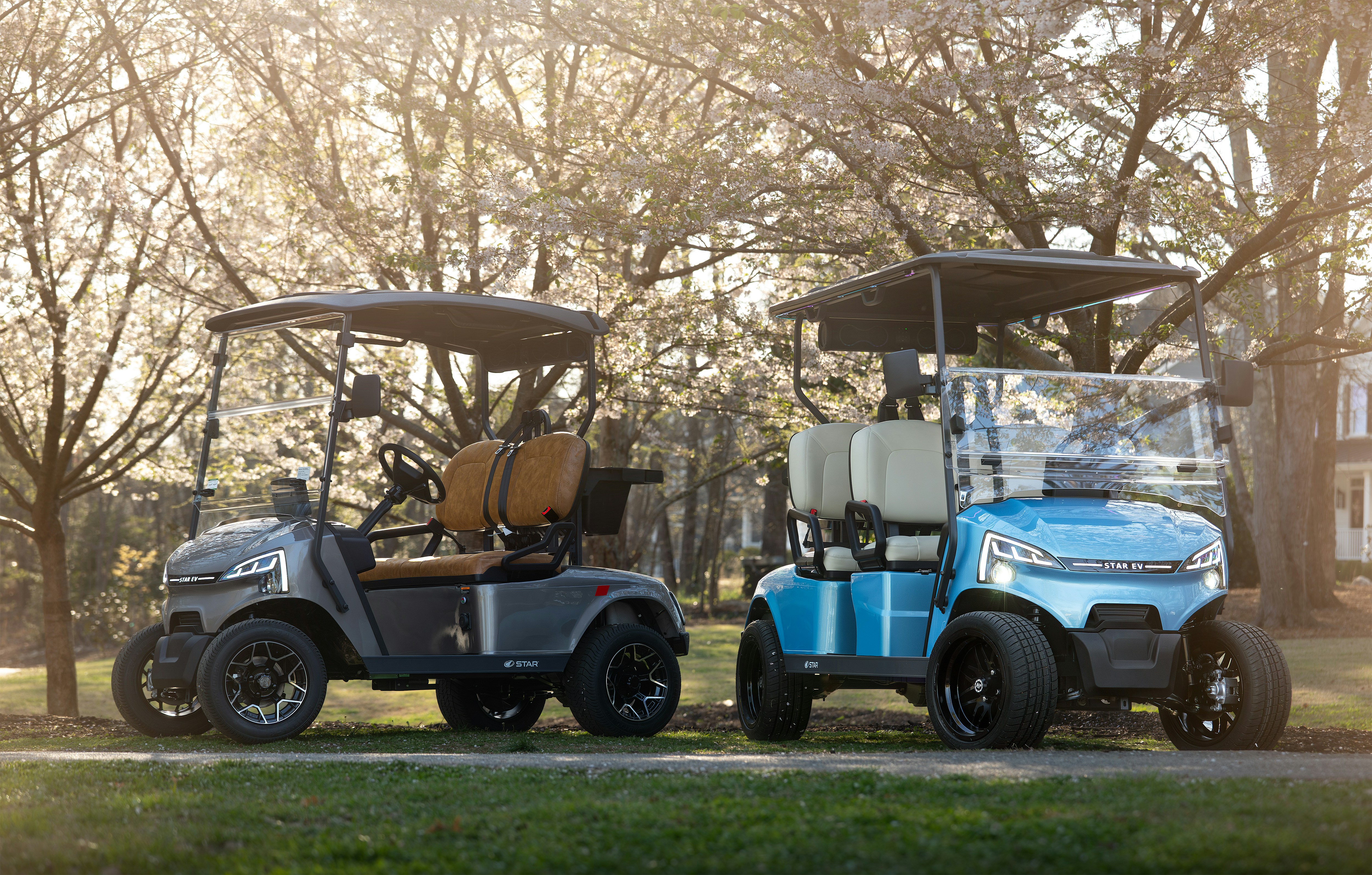 Twin Miles of Blue: A Quiet Standby of Modern Golf Carts