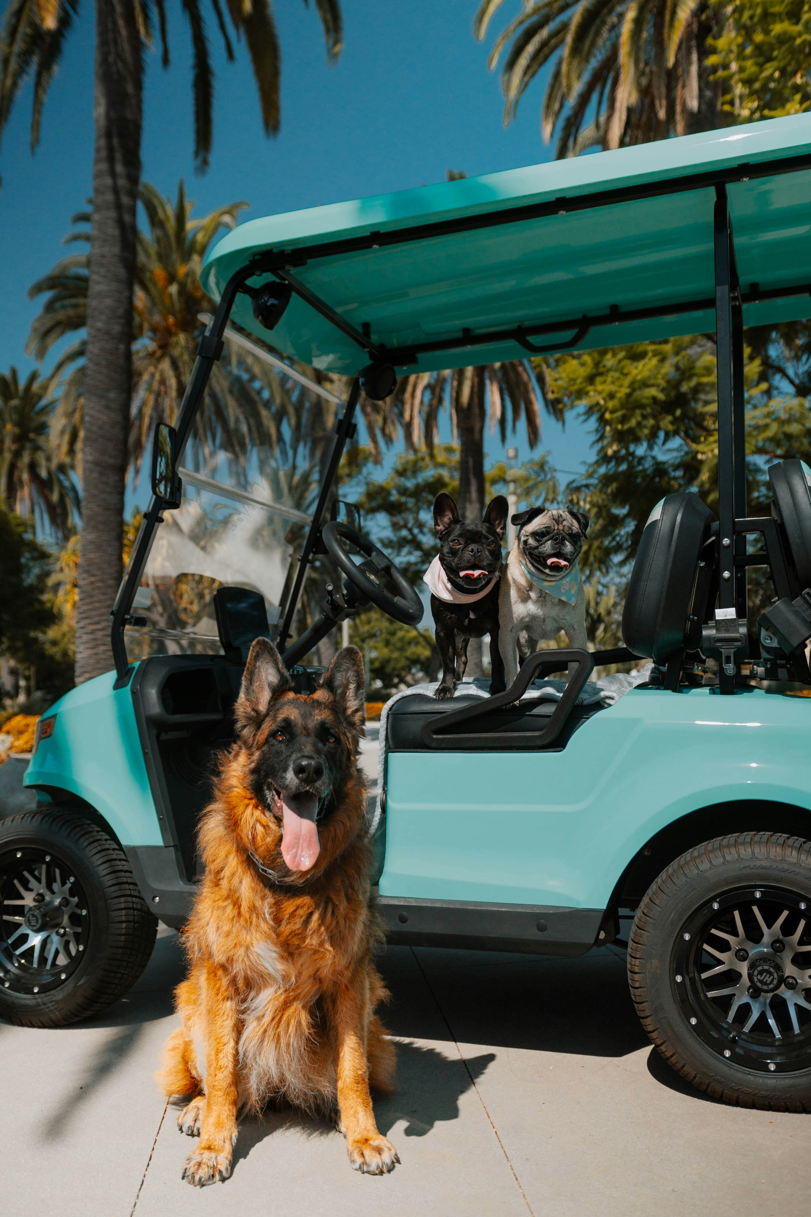 Group portrait with a turquoise golf cart and two small dogs perched on the seat