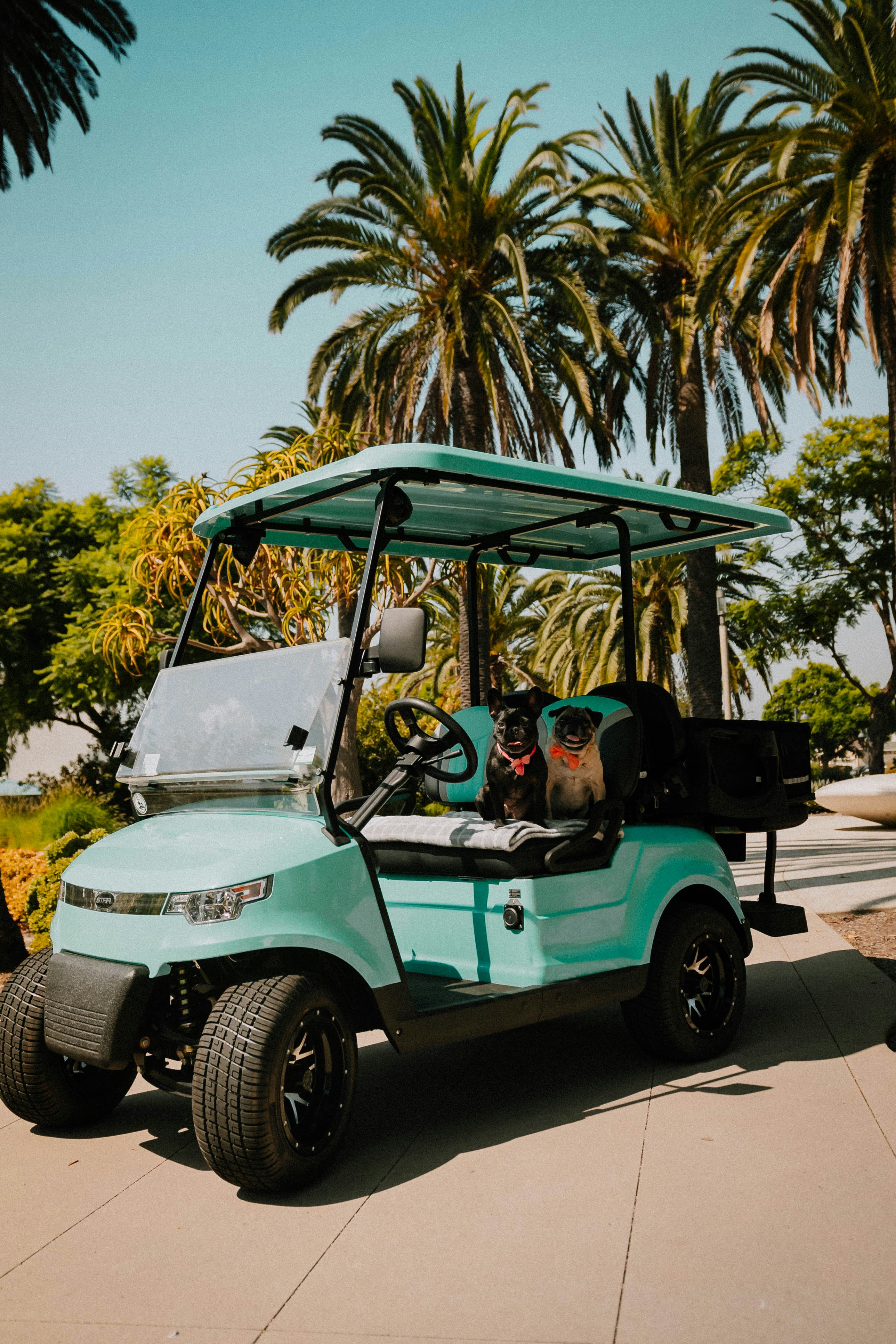 Minted Ride under Paradise Palms