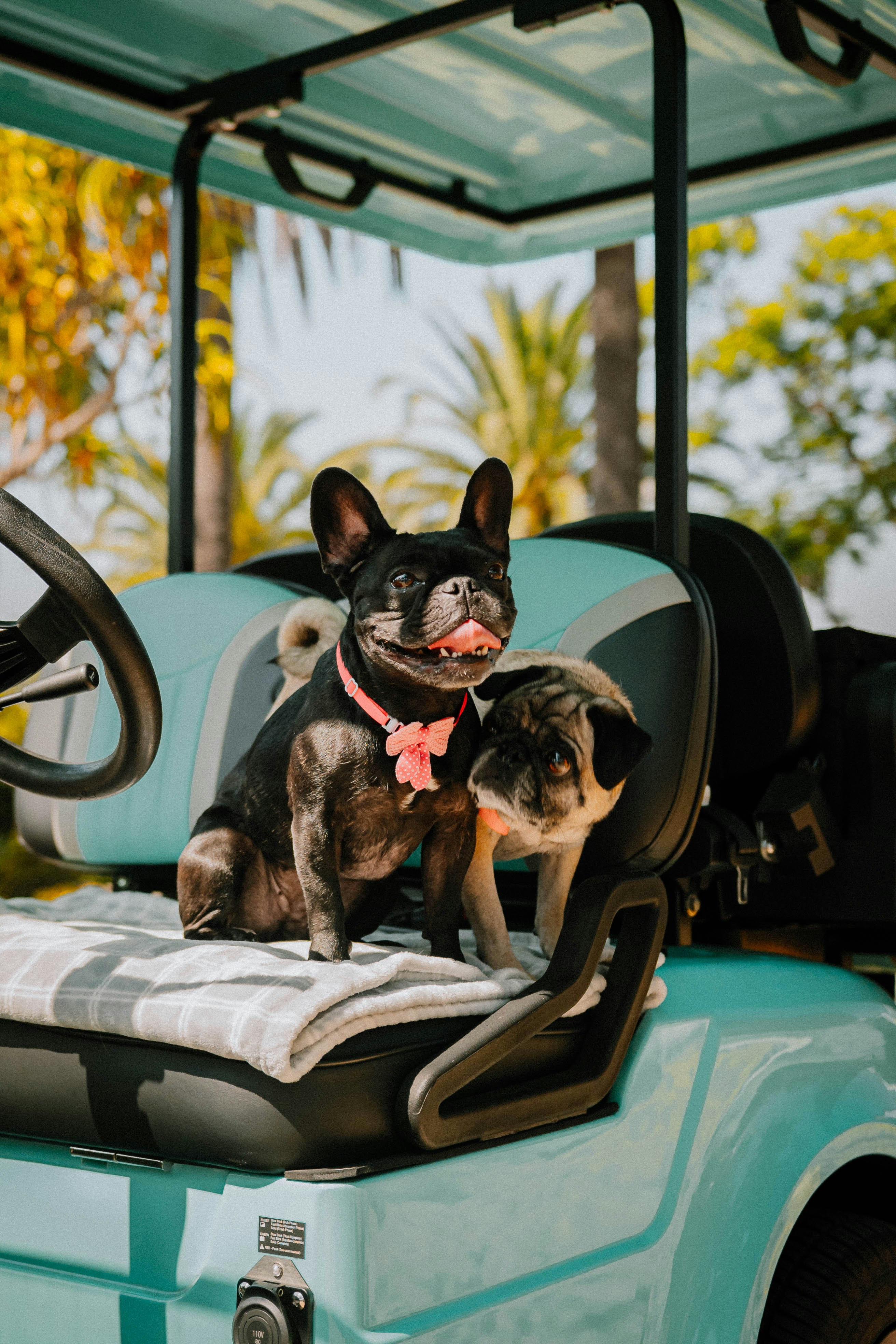 Two Decked Darlings: A Teal Golf Cart Stroll with Friends