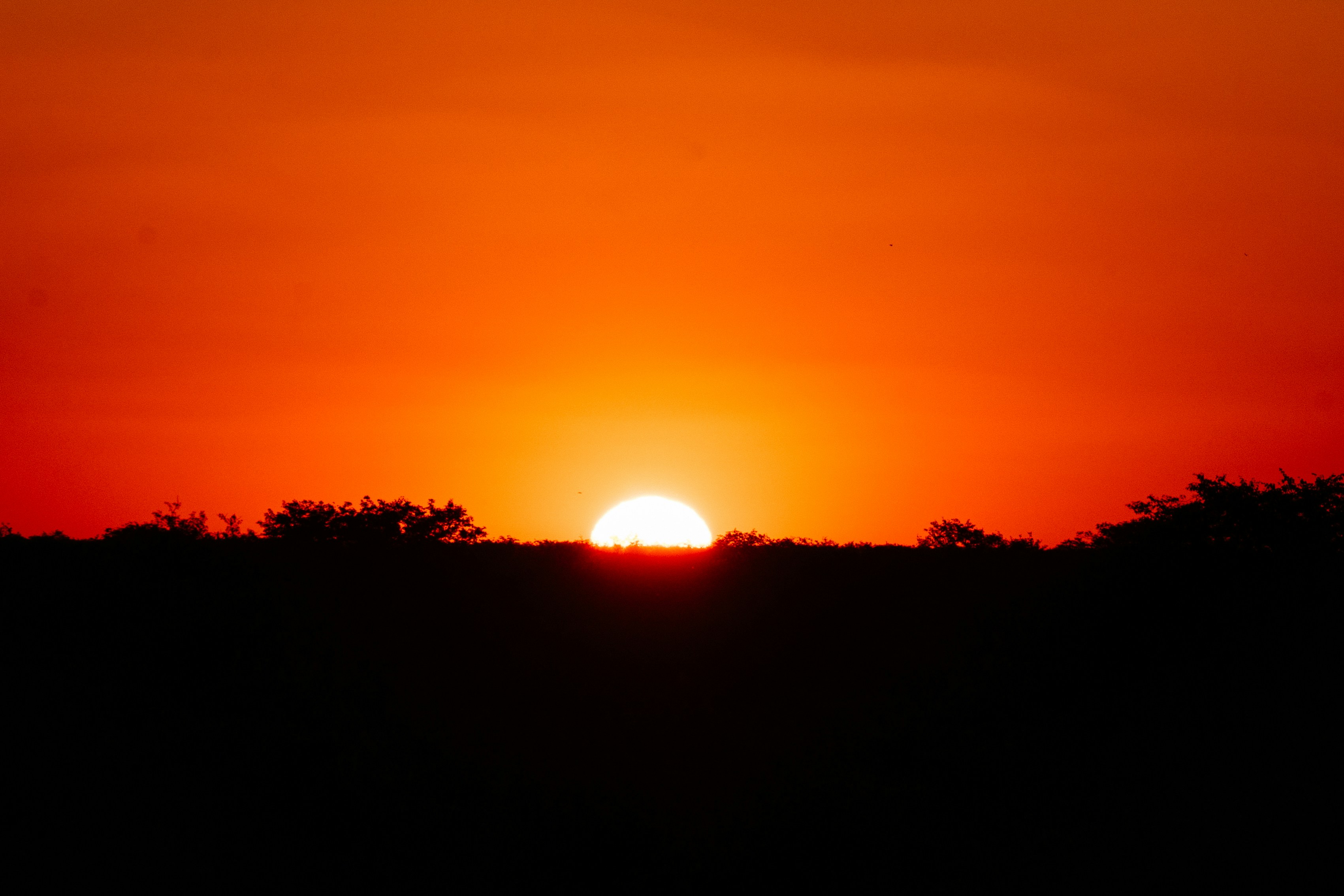 Beautiful orange sunset with sun setting over dark horizon.