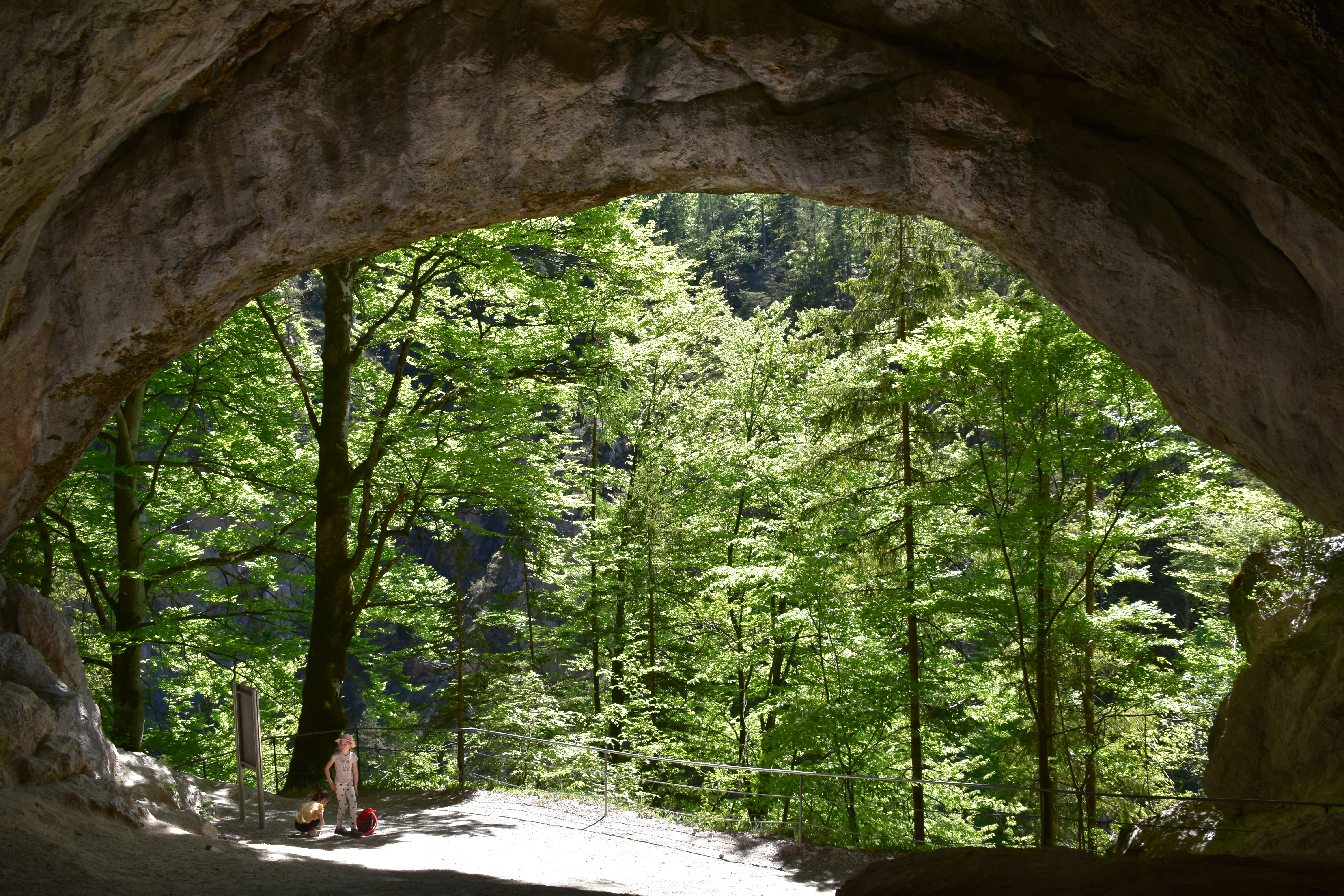 Light Beyond the Cave: Forest Scene Framed by Shadow