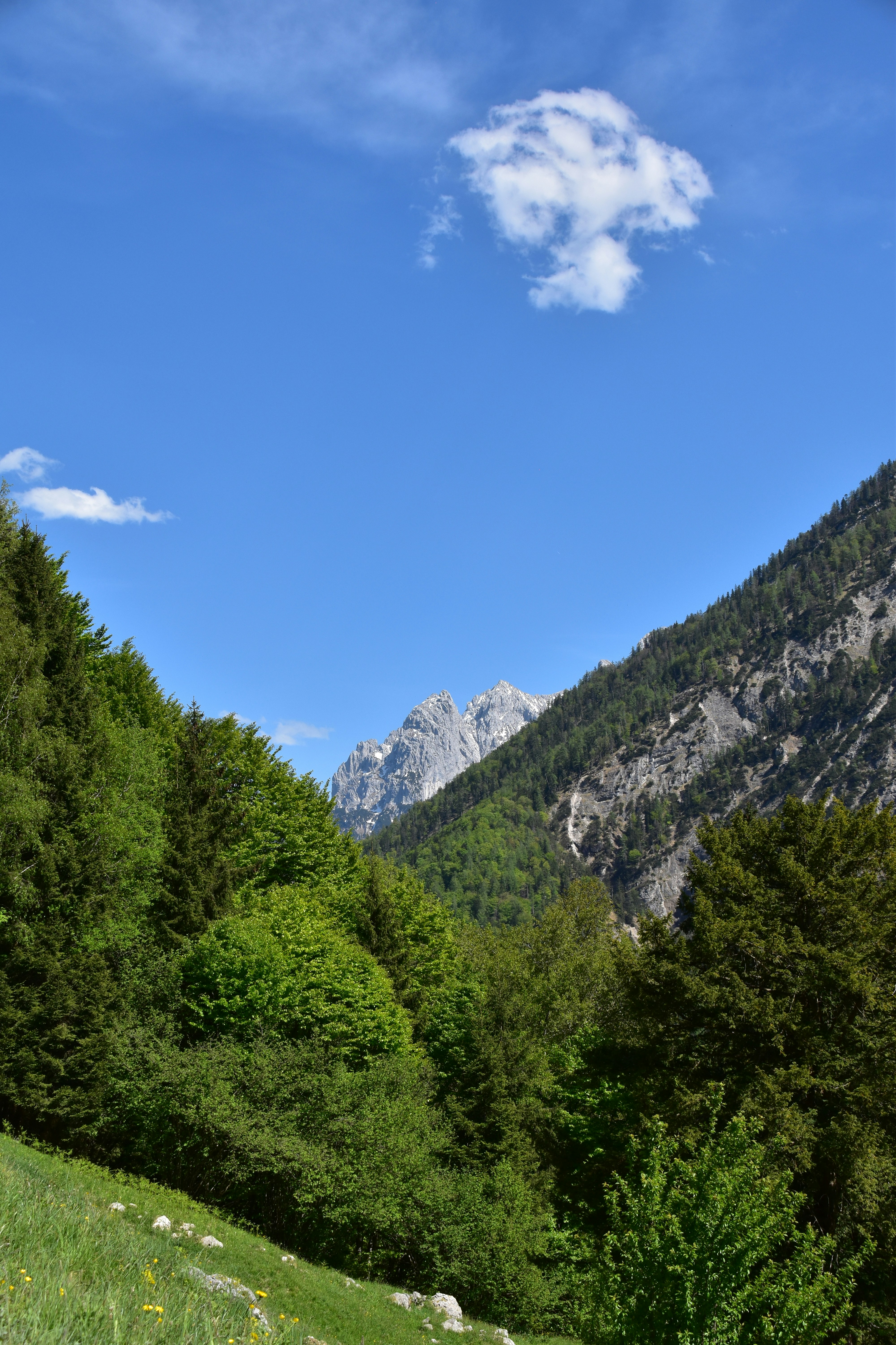 Mountain Crest Emerges Through Verdant Slopes Under a Crisp Sky