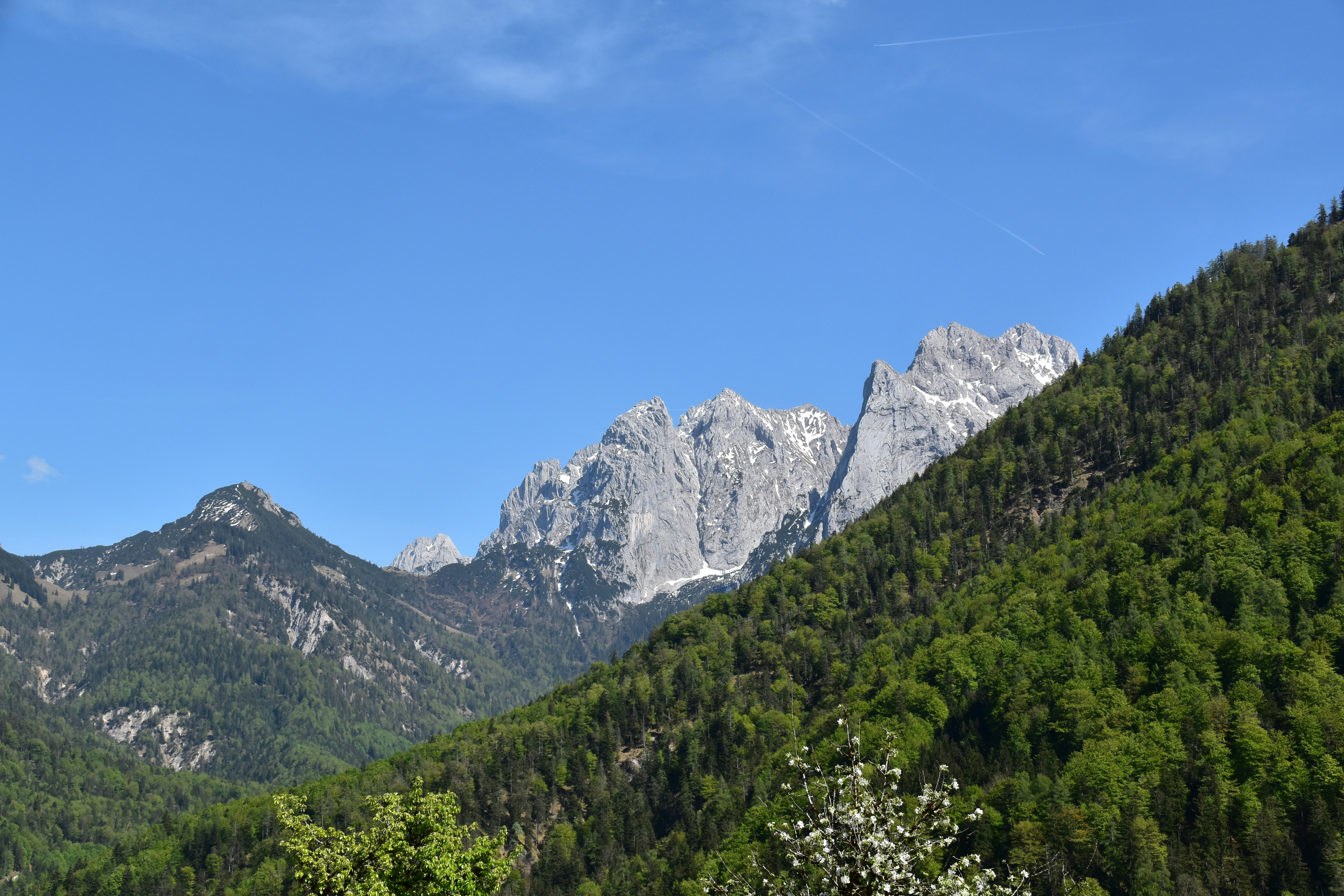 Snow-capped Ridge Above a Lush Forested Valley