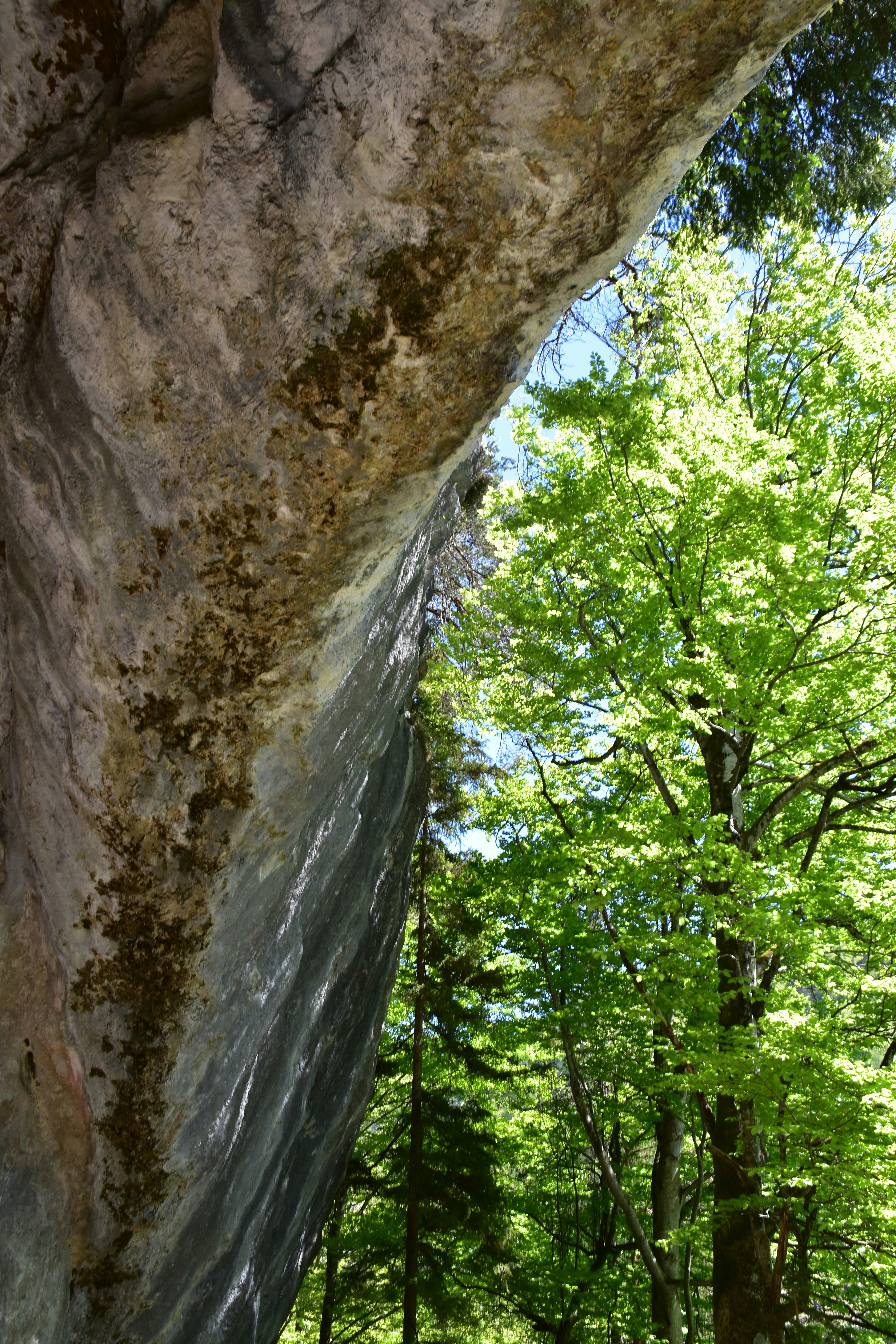 Overhanging Nook: Light on the Mossy Cliff Face