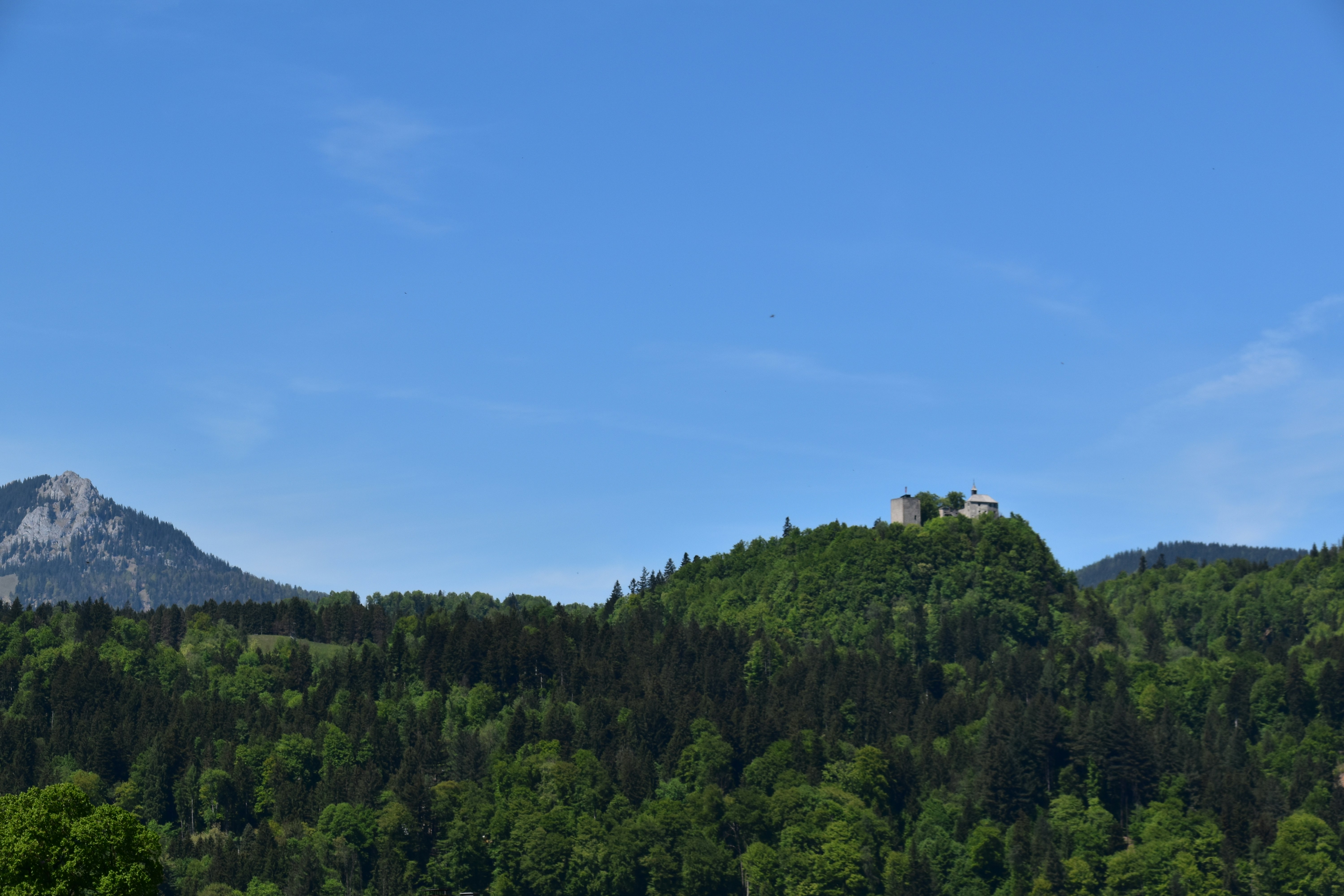 Castle on the Crest: A Highland Sentinel Above the Forest
