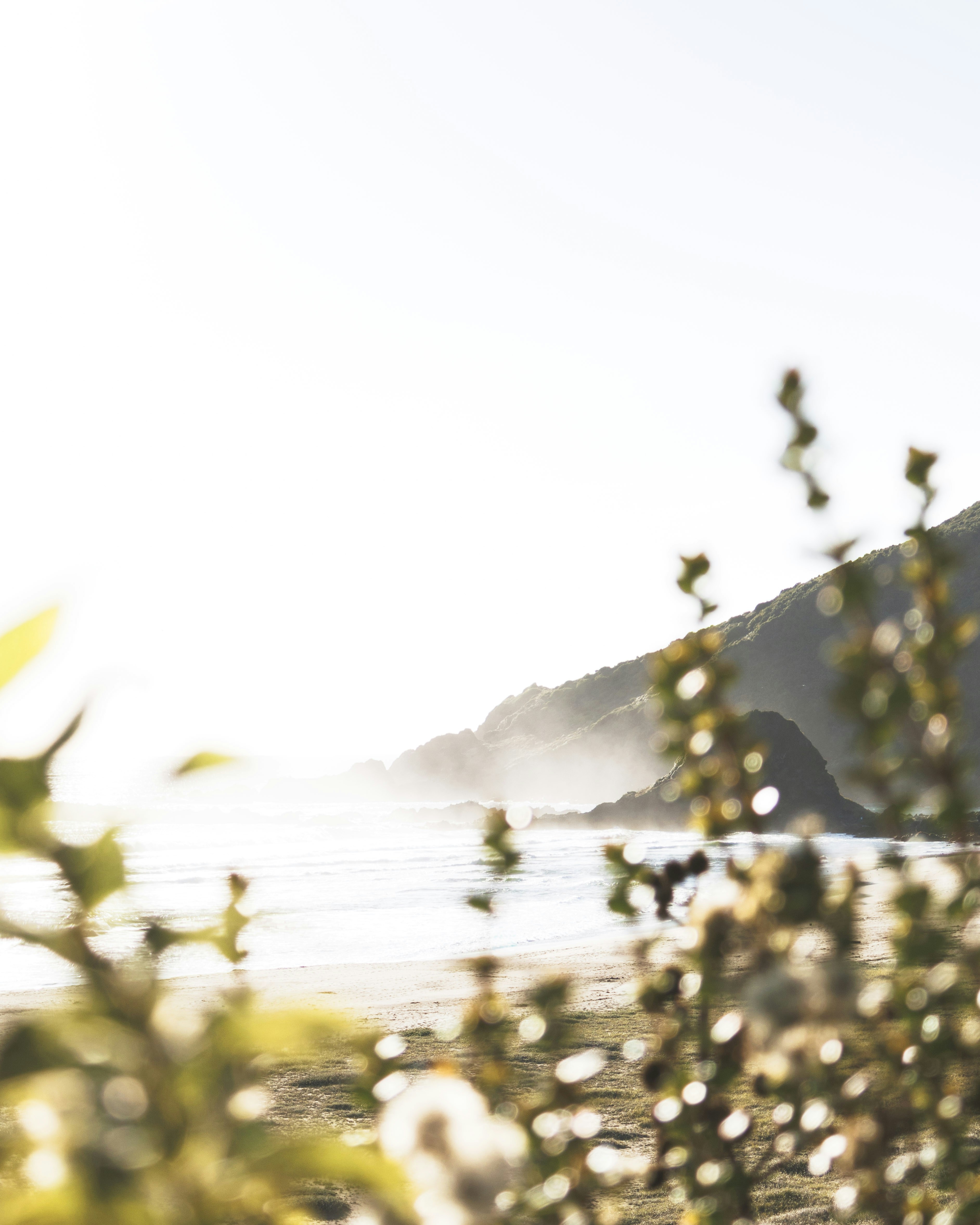 Soft Morning Coastline with Framing Foliage