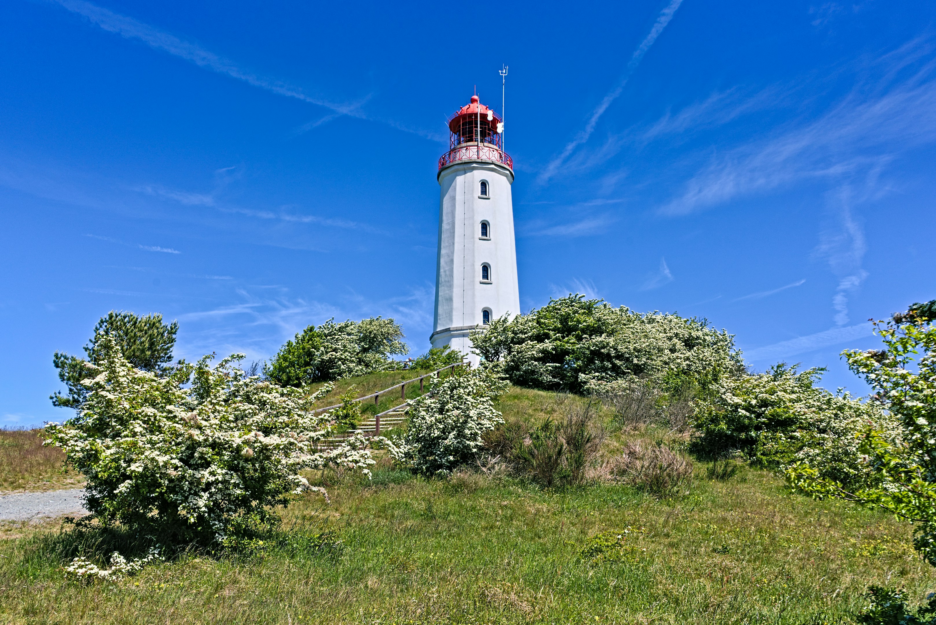 Lighthouse on a sunlit hill: a beacon above blooming scrub