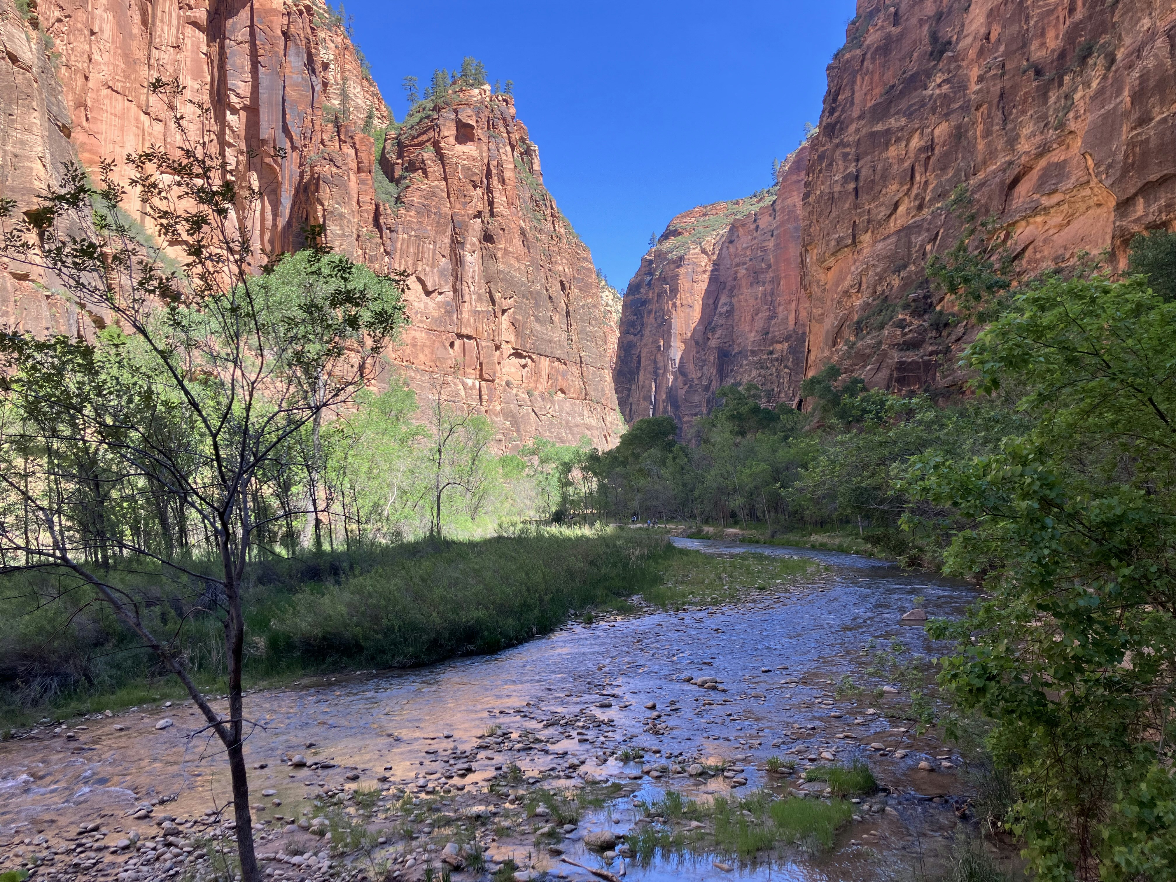 Portal Through the Red Canyon: River Edges the Cliff Veil