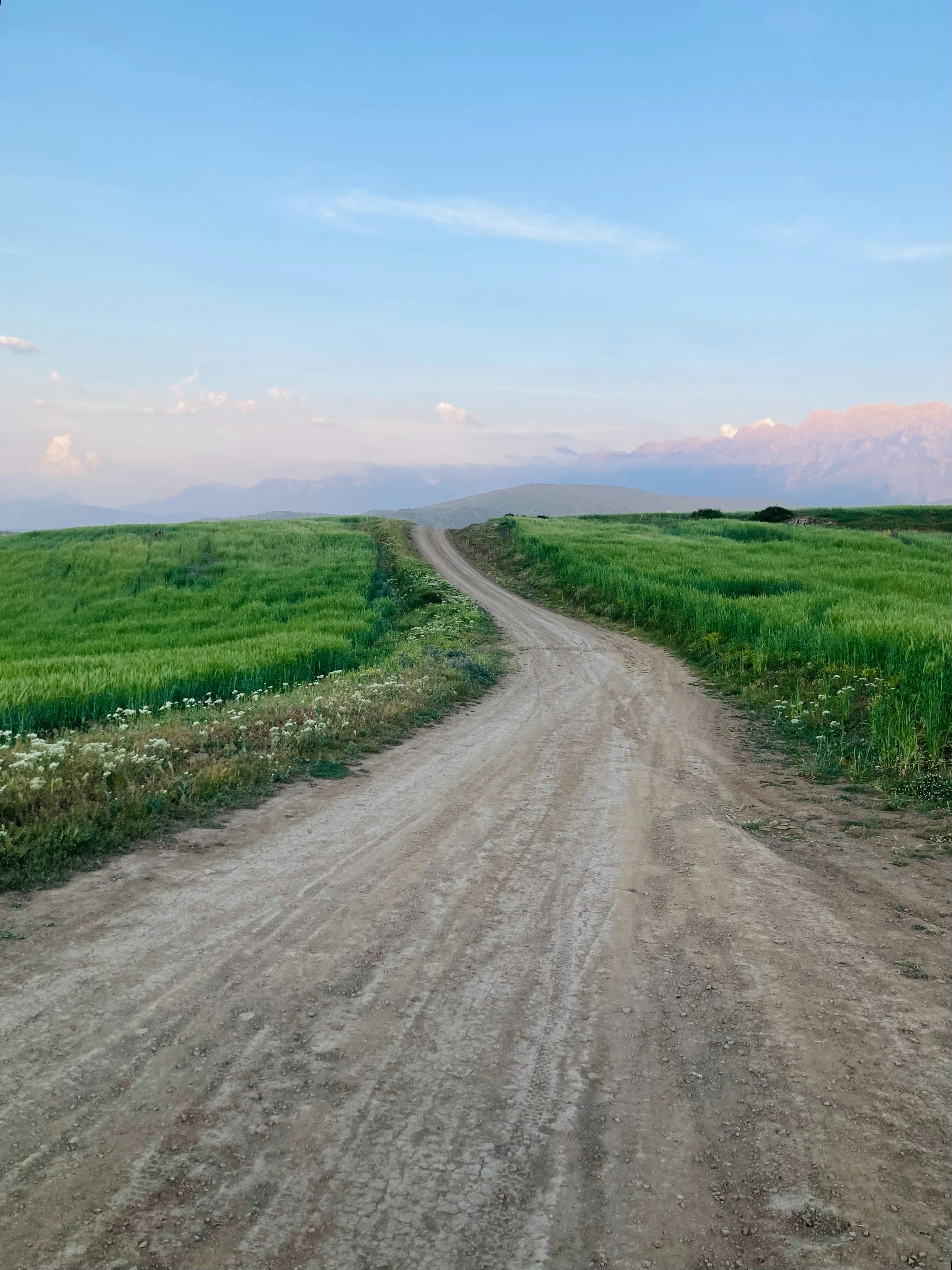 Dusty Path to the Distant Horizon