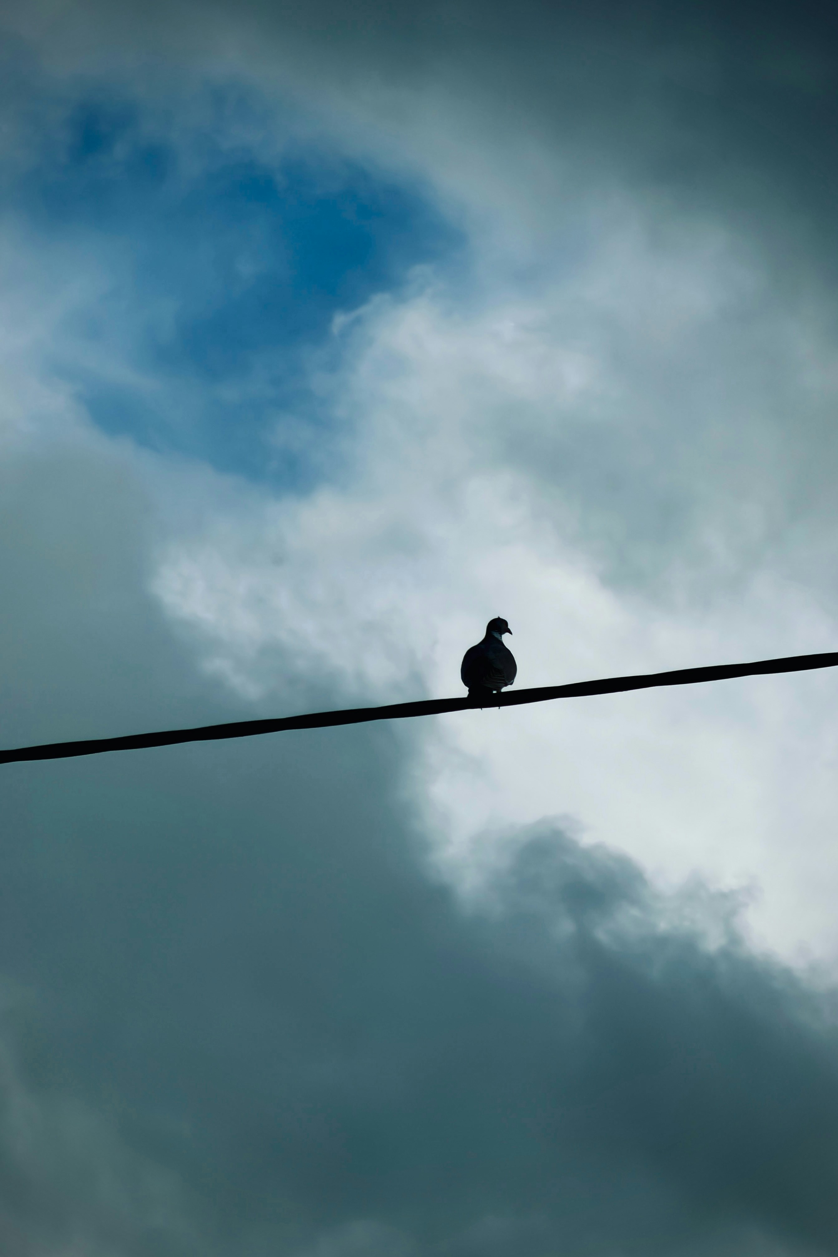 Silhouette on a Wire: A solitary bird against stormy skies