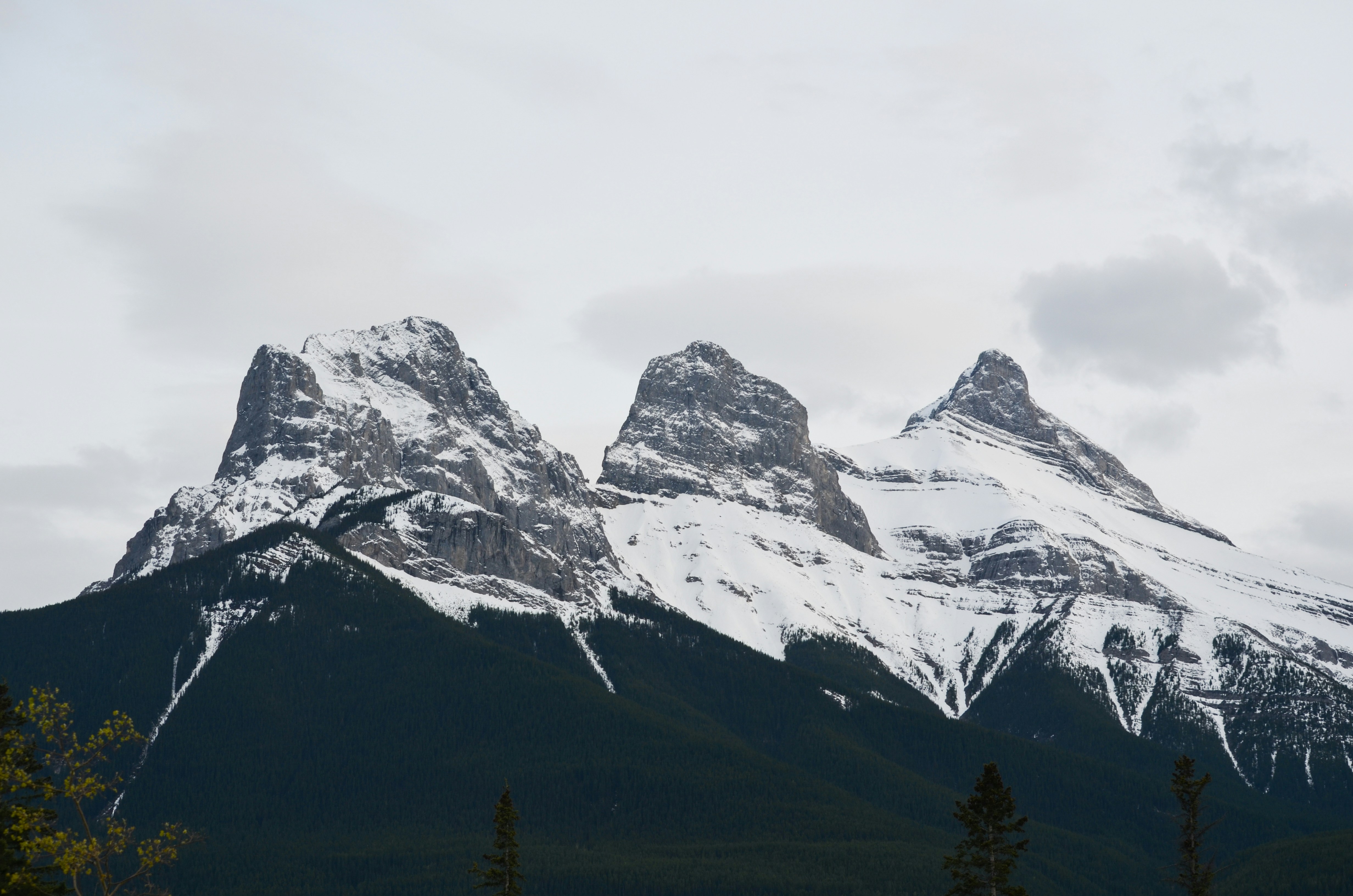 Snow-capped Peaks Over a Forested Foothill