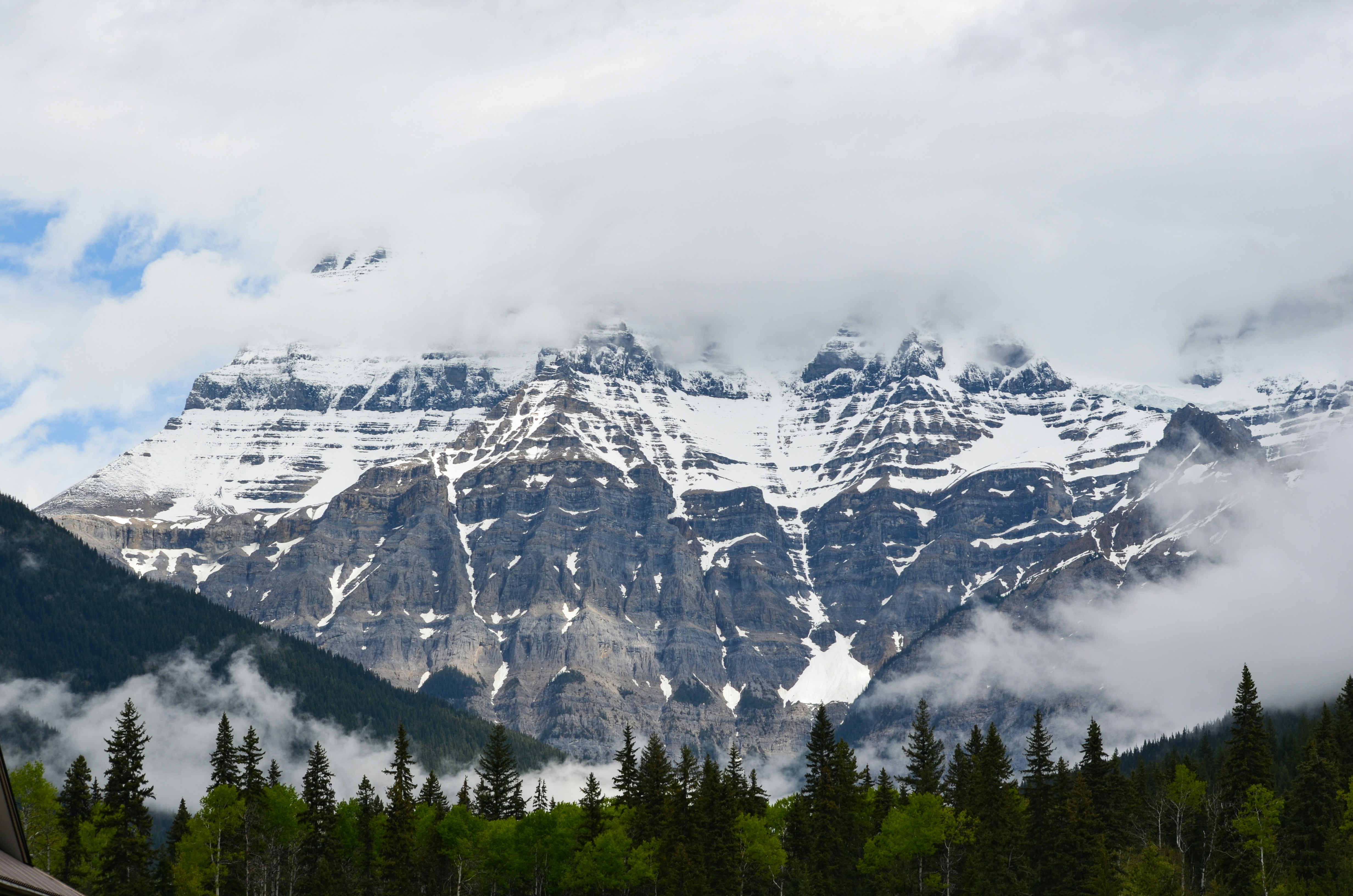 Snow-capped Peaks Rising Through Mist Over Pine Foret