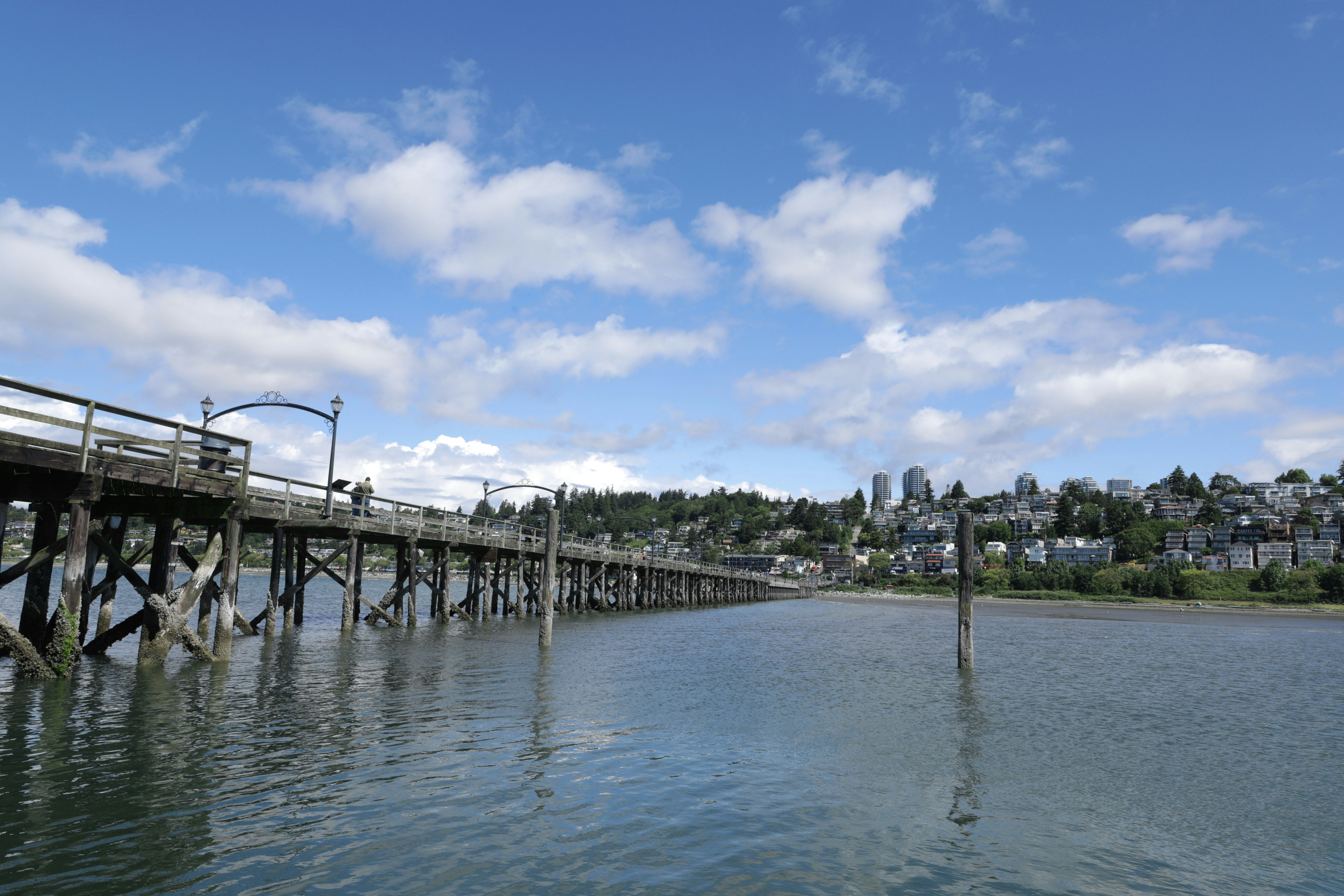 Eye on the Pier: A Quiet Coastal Crossing
