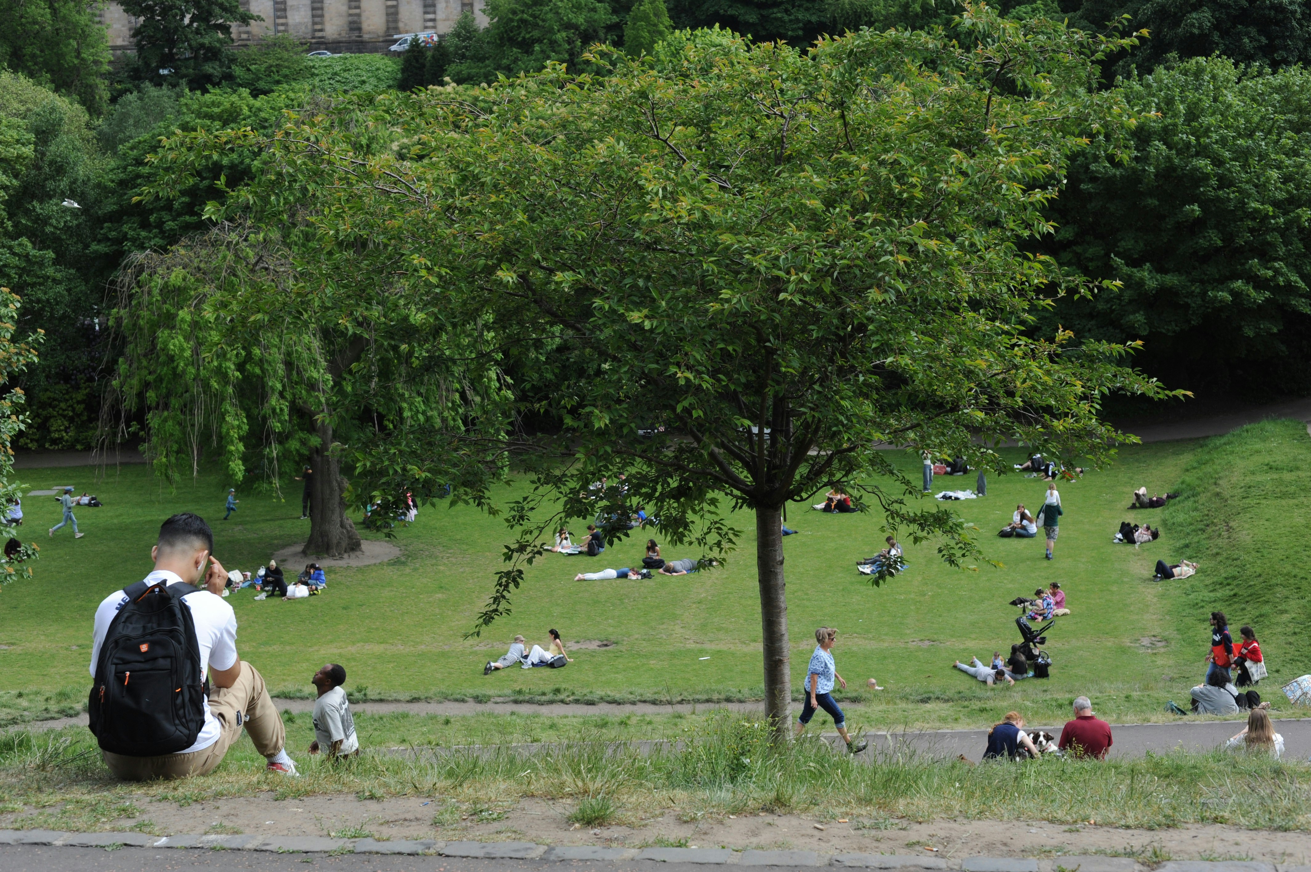 Sunlit Park Terrace: A Sliver of Stillness Amid a Shimmering Lawn