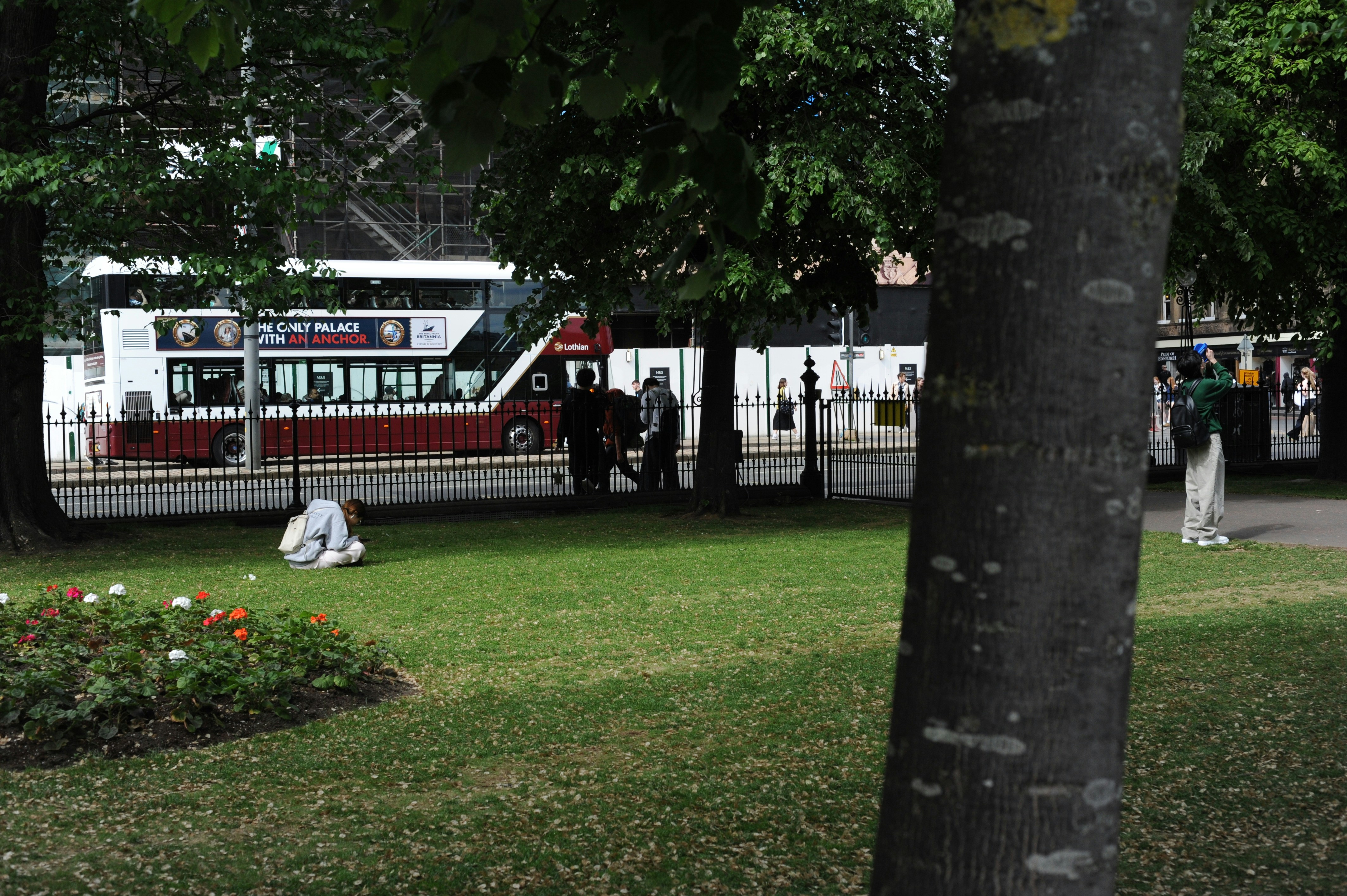 Cityscape Park: Bus, Fence, and Tree in a Quiet Square