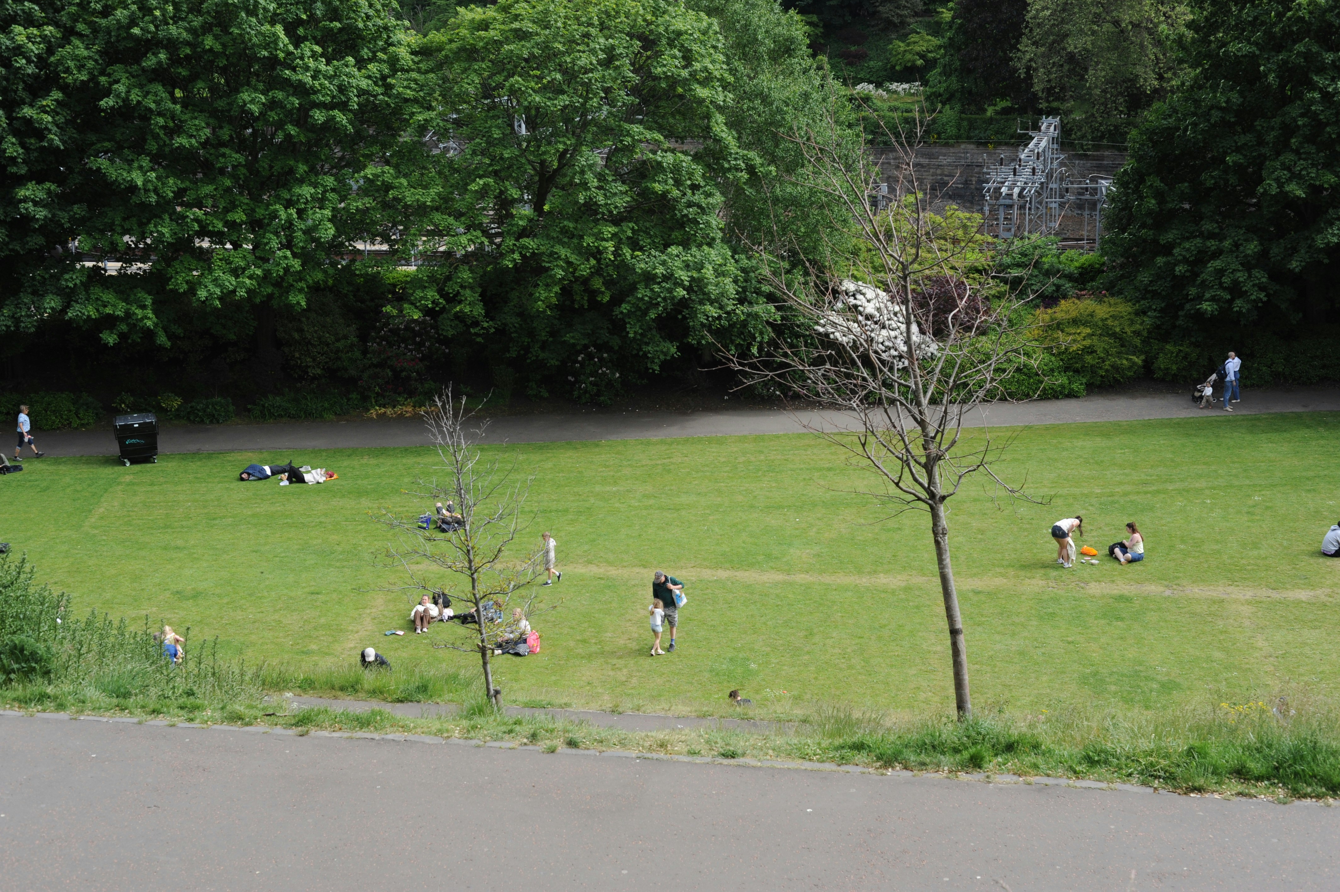 Sunlit lawnbreakers: families at play under a tree-framed sky