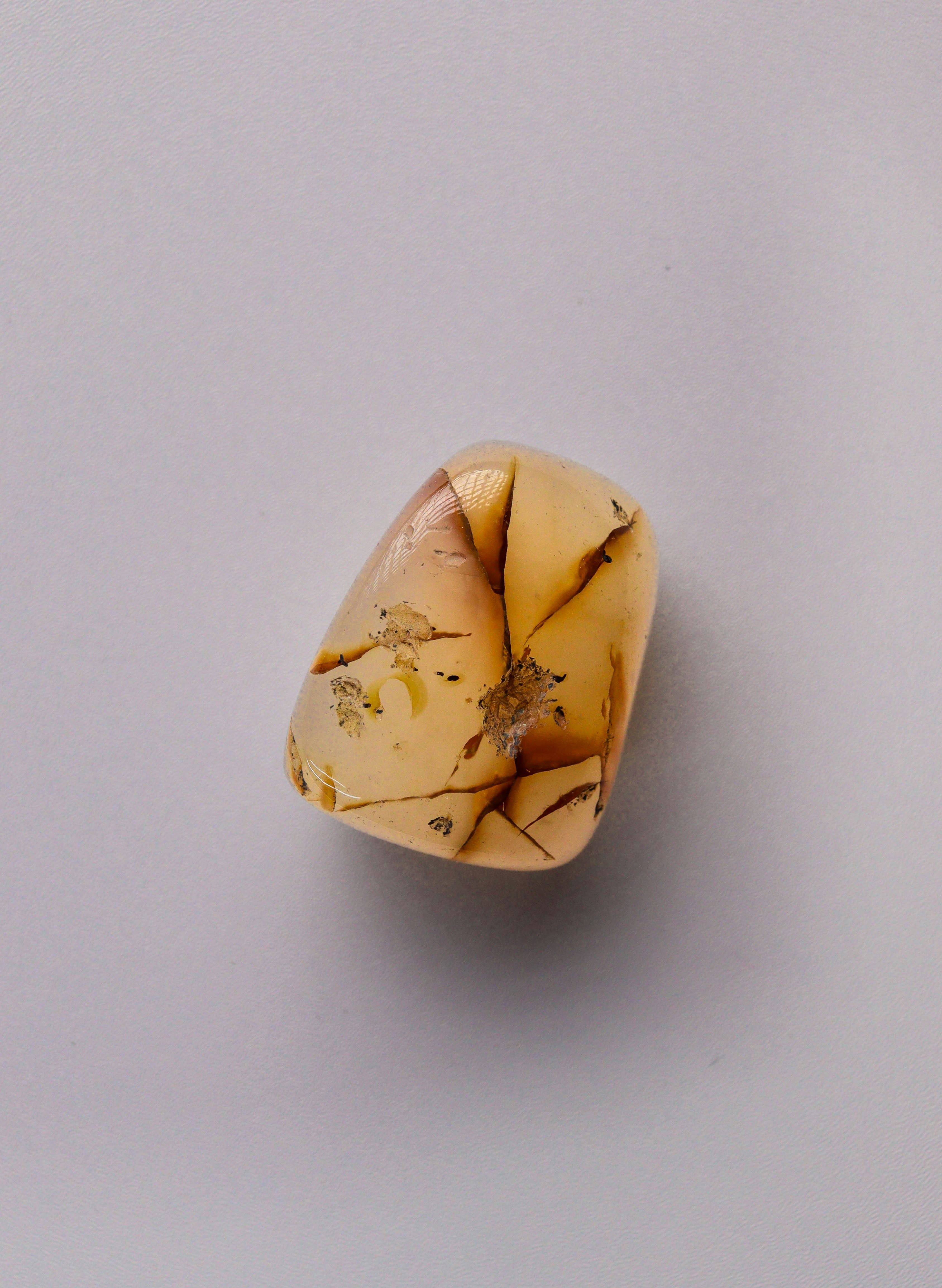 Tessellated bead of desert sage: a crackled charm resting on pale canvas