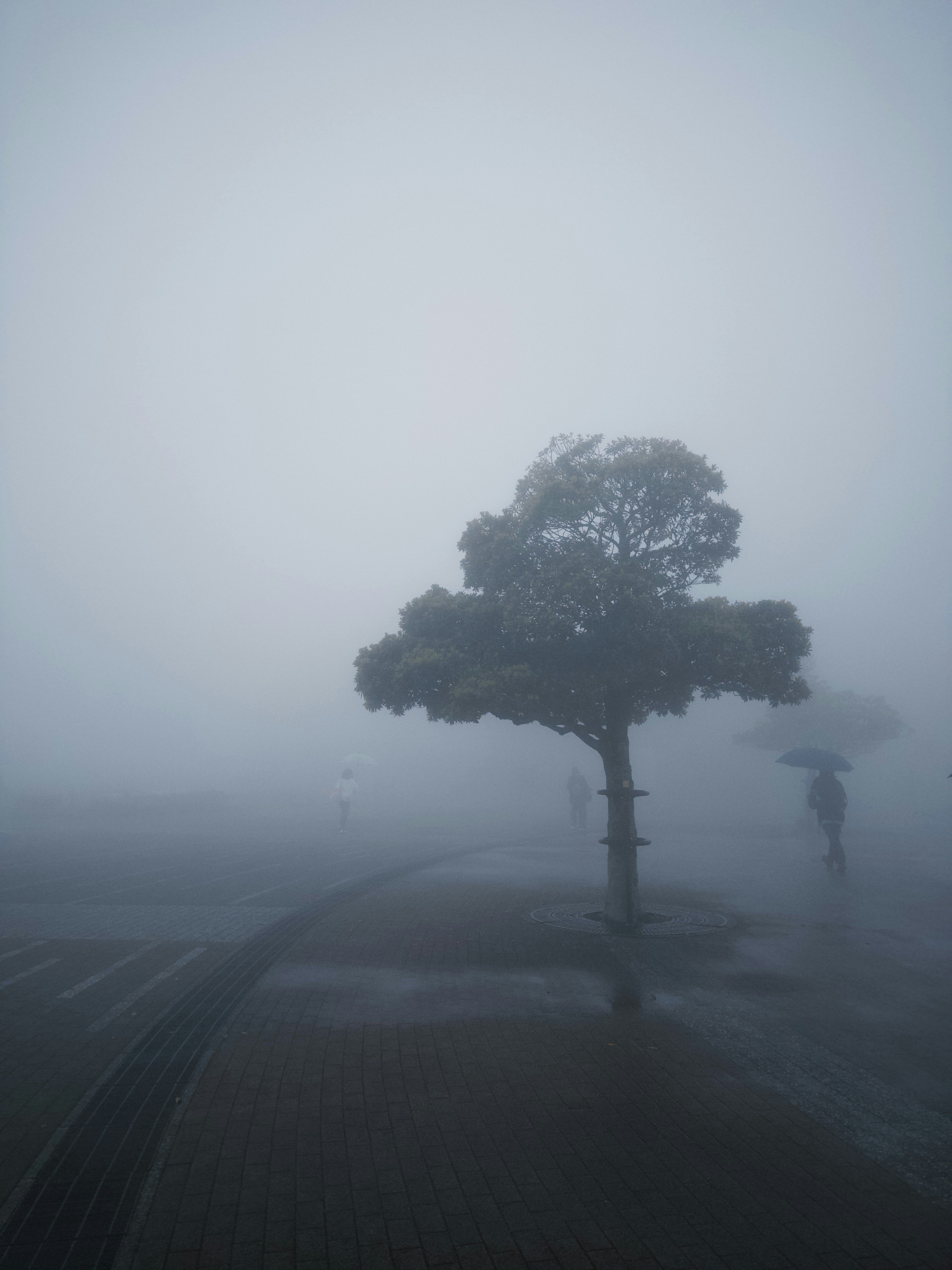 Foggy day