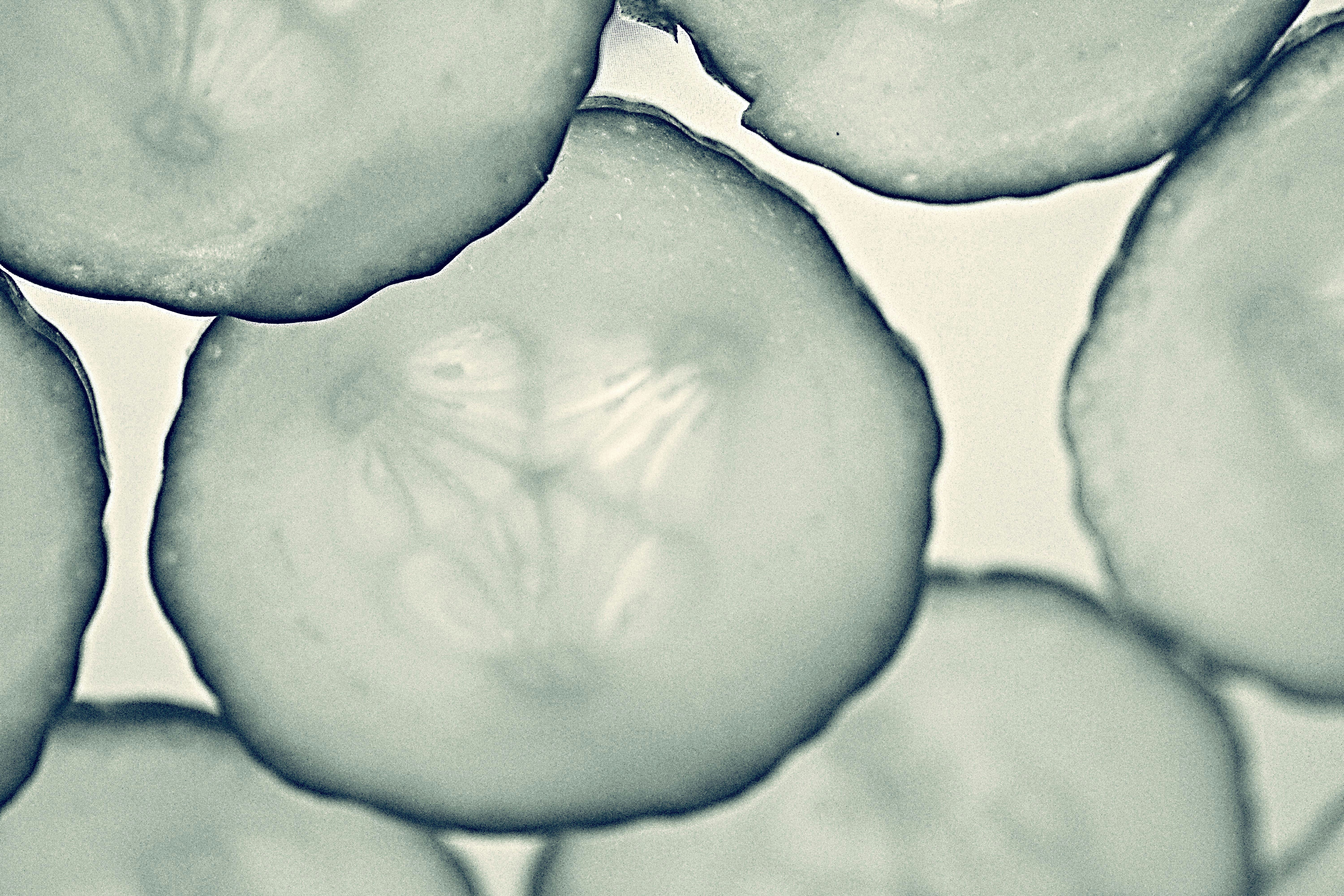 Soft translucent Orbs: a close-up of circular slices in a pale, abstract mosaic