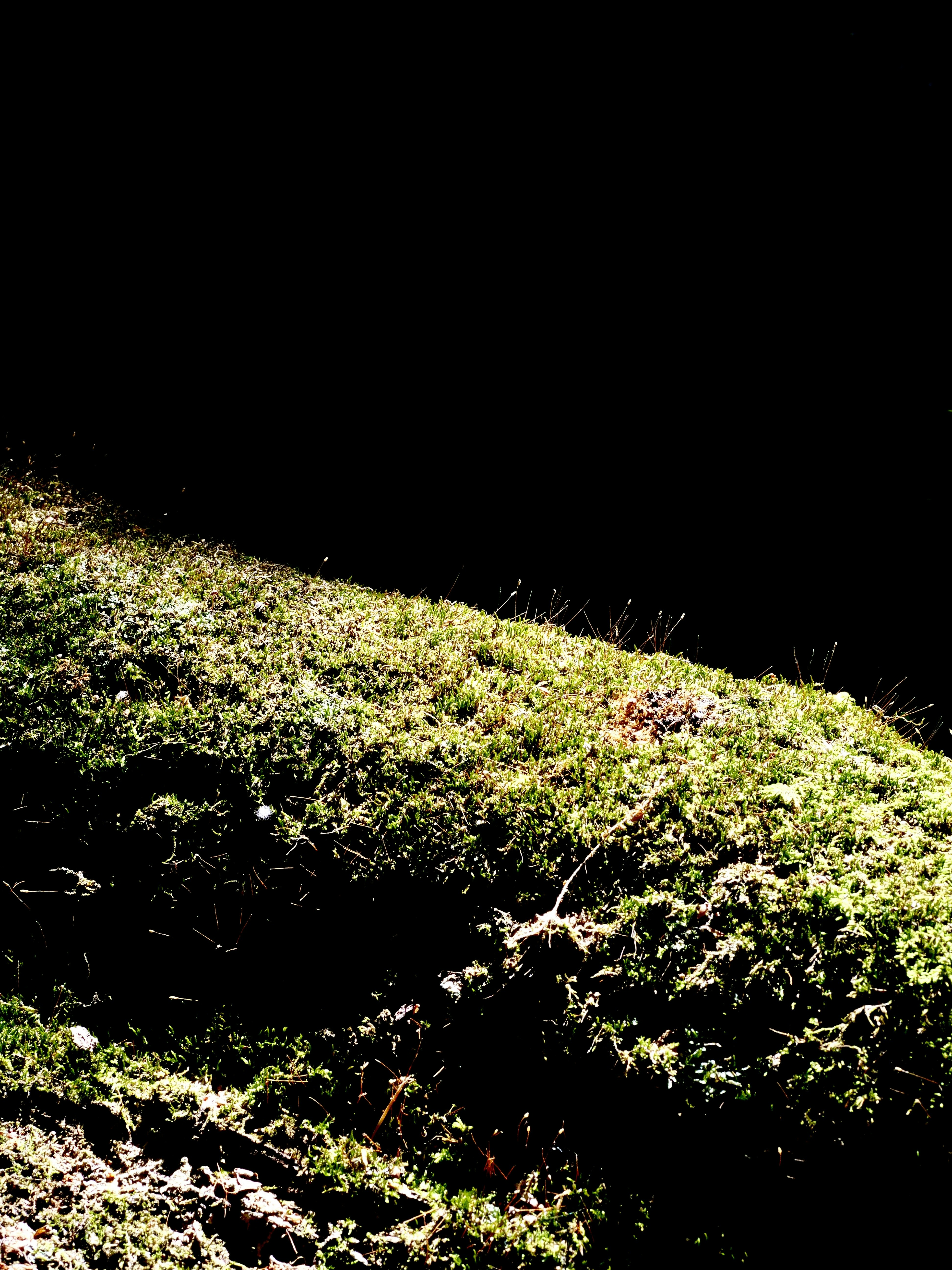 Sunlit mossy ridge against a void