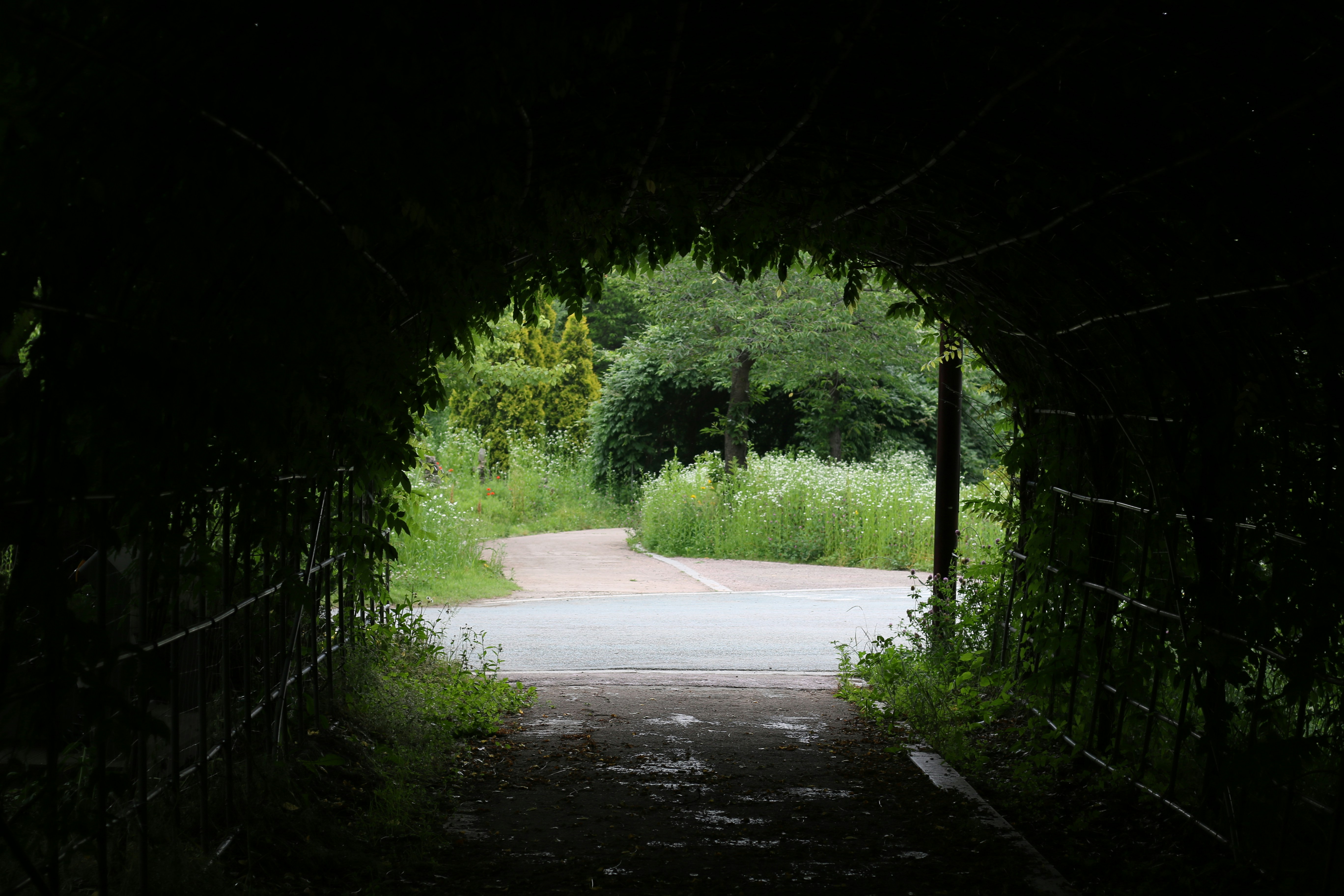Emerging Light at the Tunnel's End