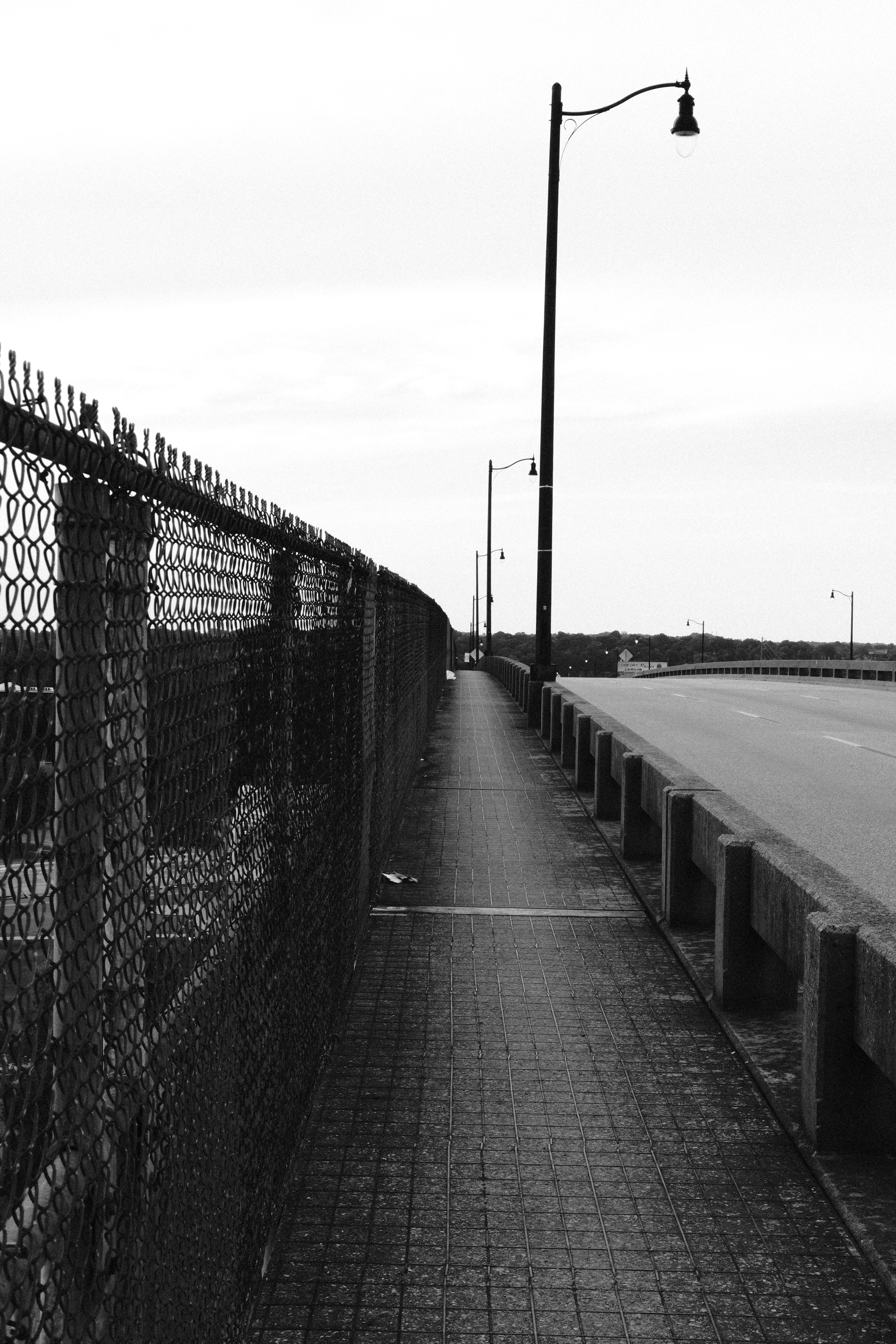 Railing to the Horizon: A Quiet Waterfront Walkway