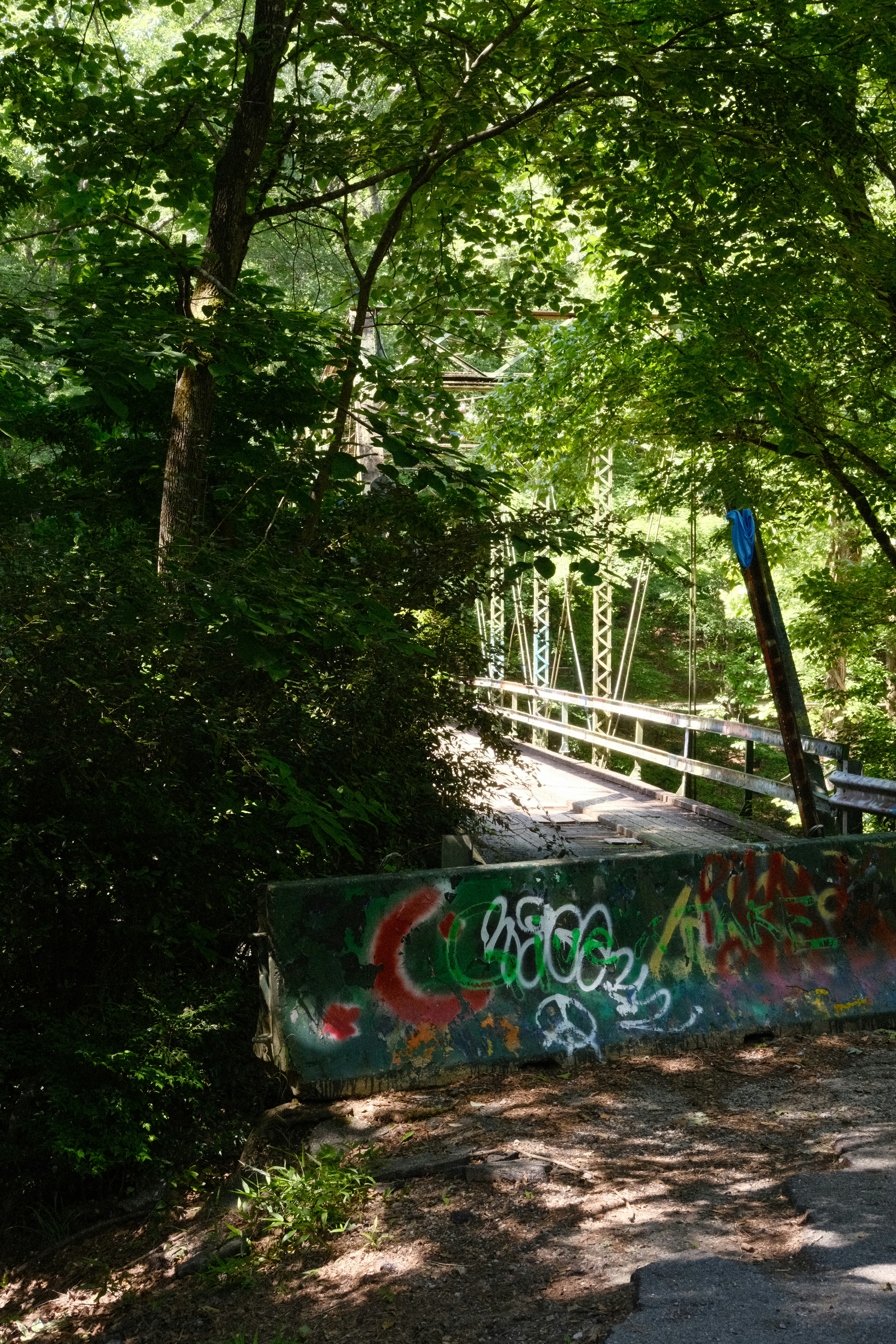 Graffiti Bridge overgrown with dappled light