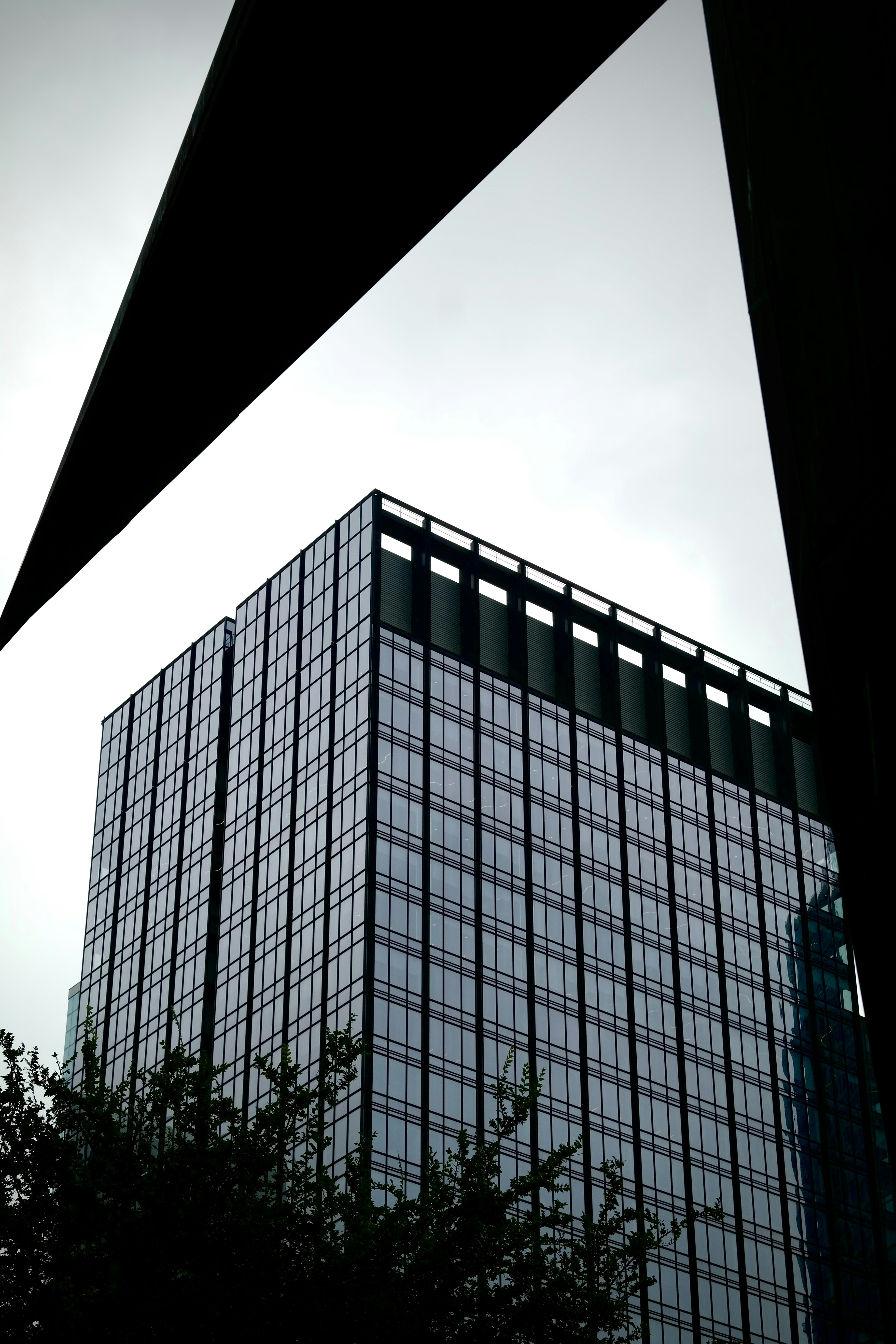 Glass Facade Ascends: Geometry and Shadow in a City Canyon