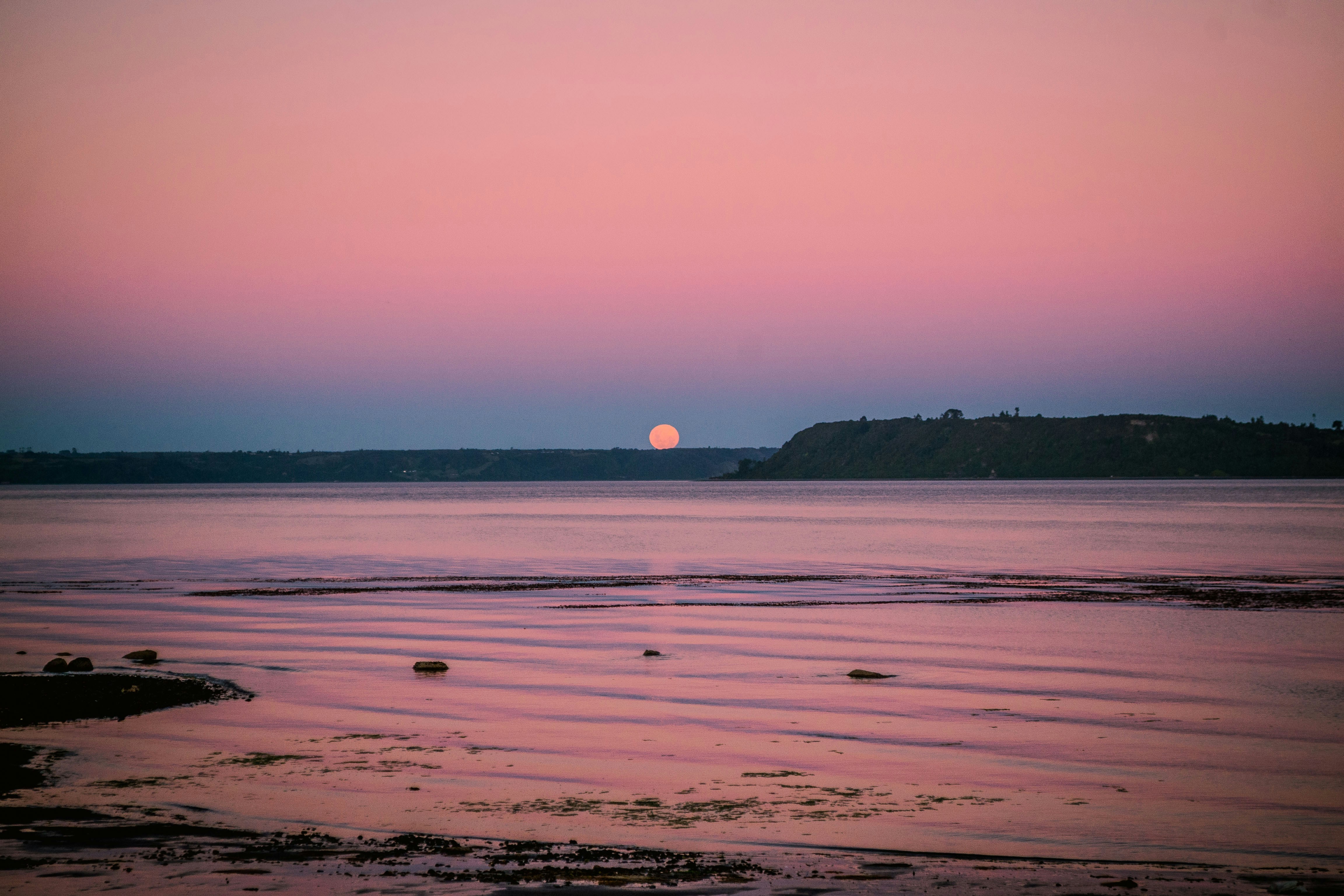 Dusk Moonrise Over a Calm Tidal Plain