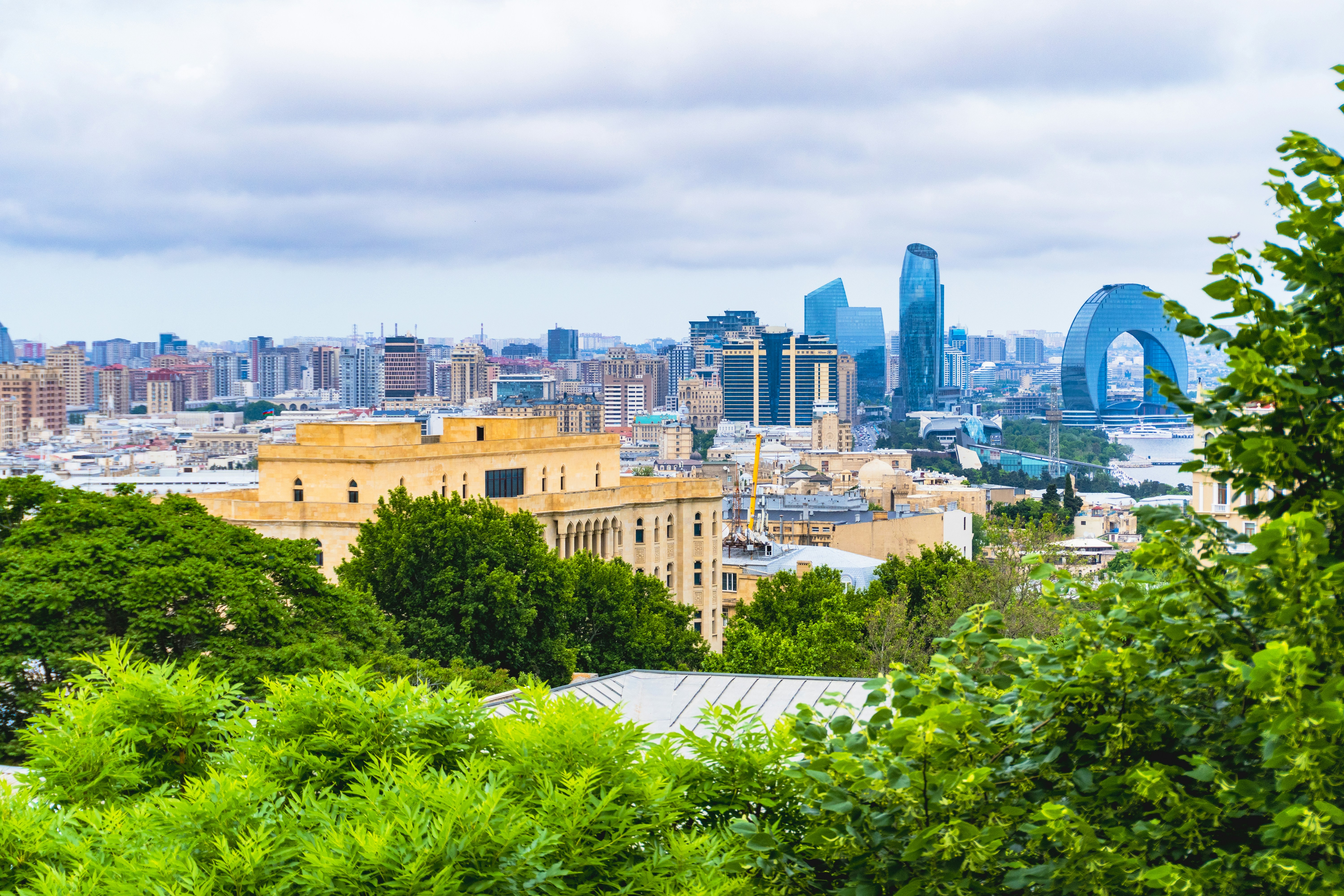 Cityscape Emerges from Greenery: A Panoramic View of Modern Architecture and Verdant Foreground