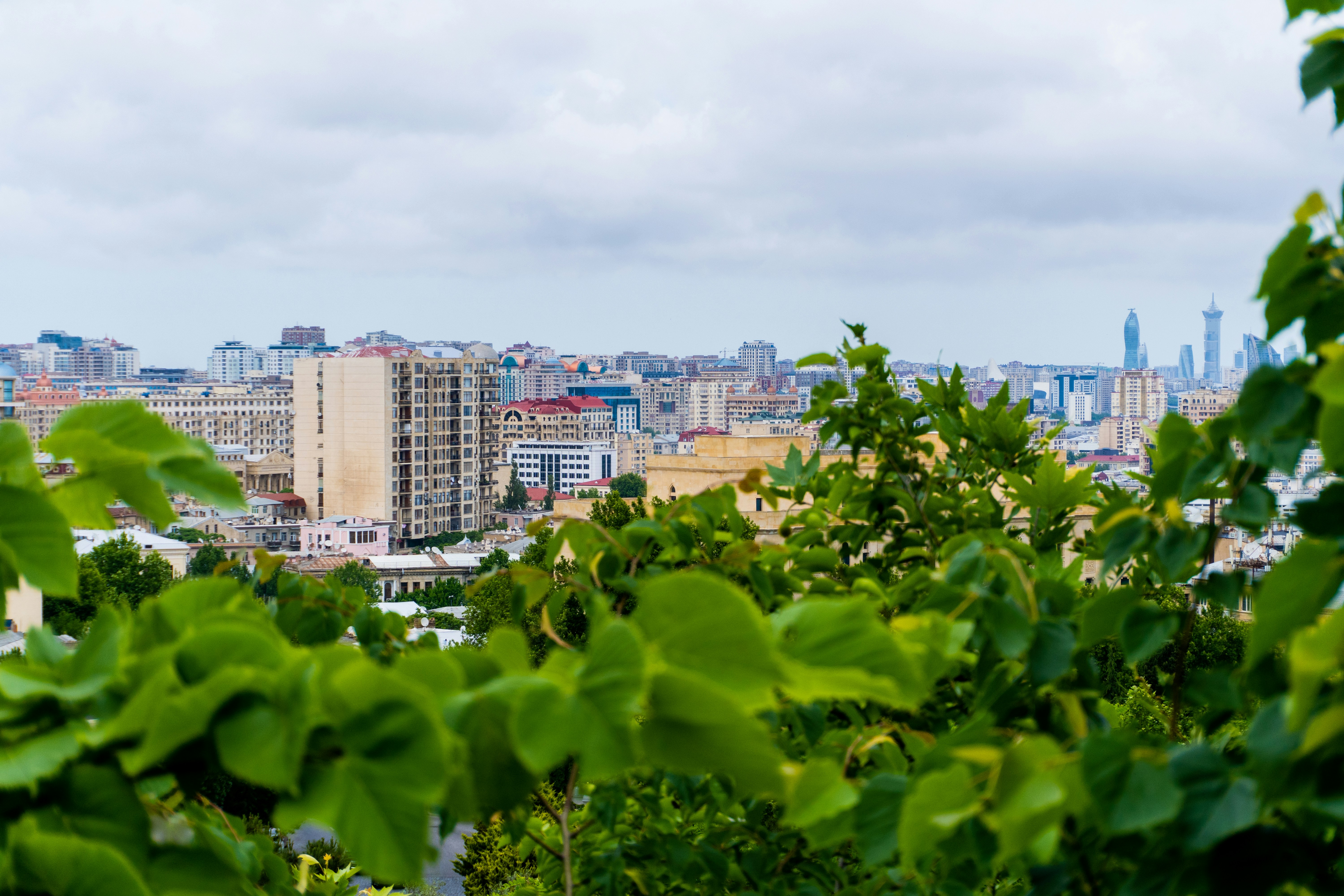 City skyline viewed through green leaves on an overcast day.