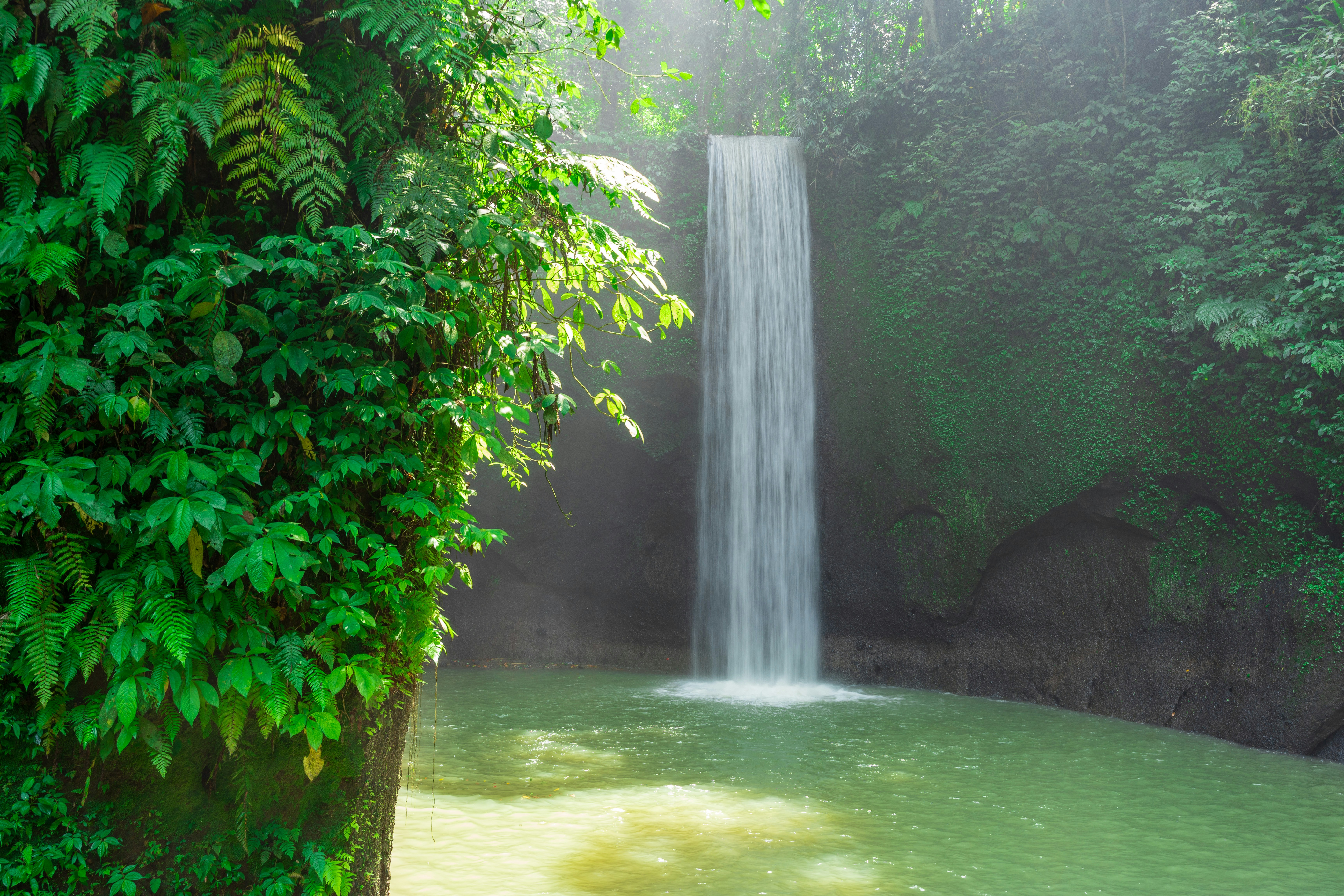 Cascading Quiet: A Central Waterfall Framed by Lush Greenery