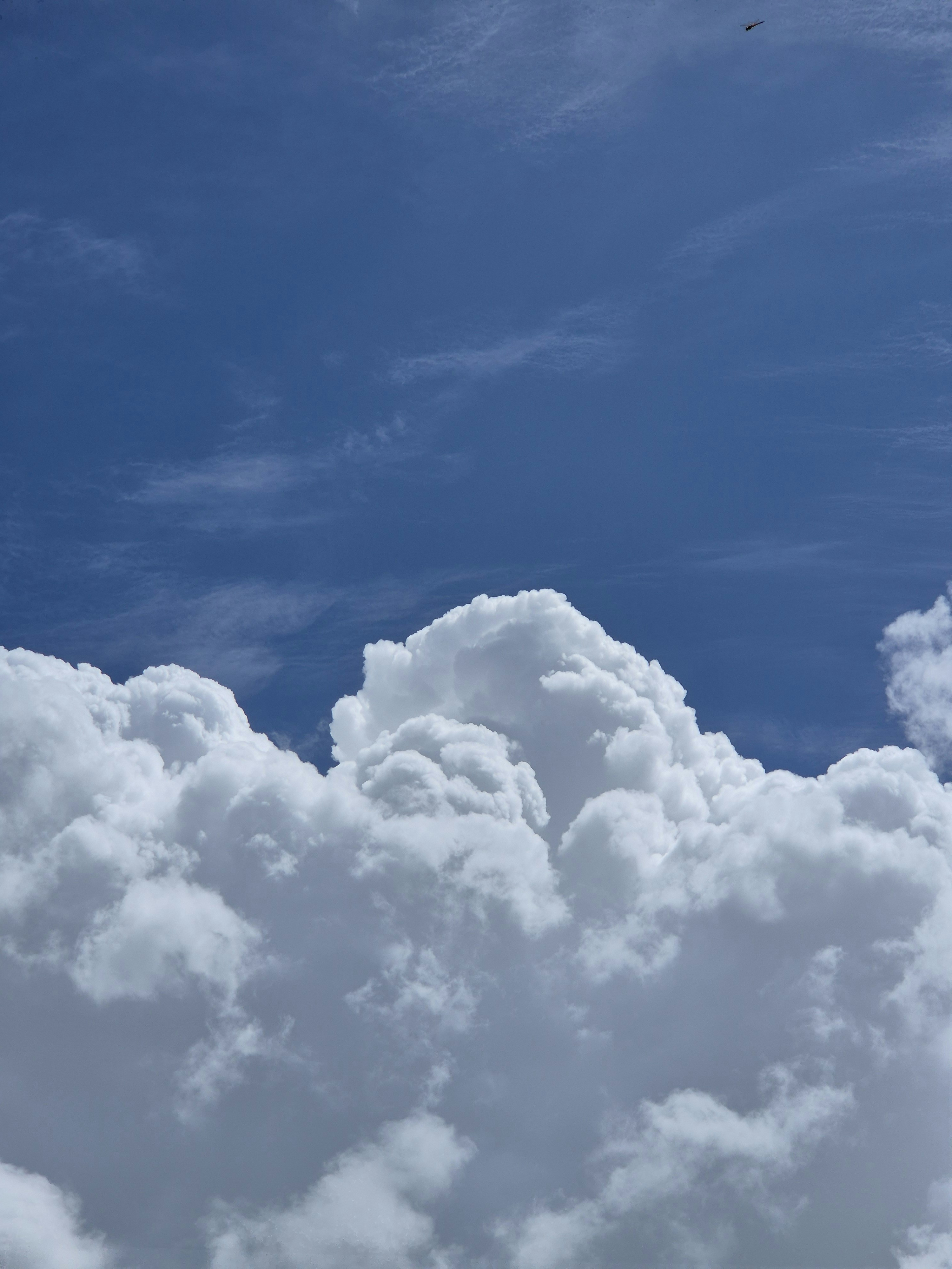 Cloud Choir over a Crisp Blue Sky