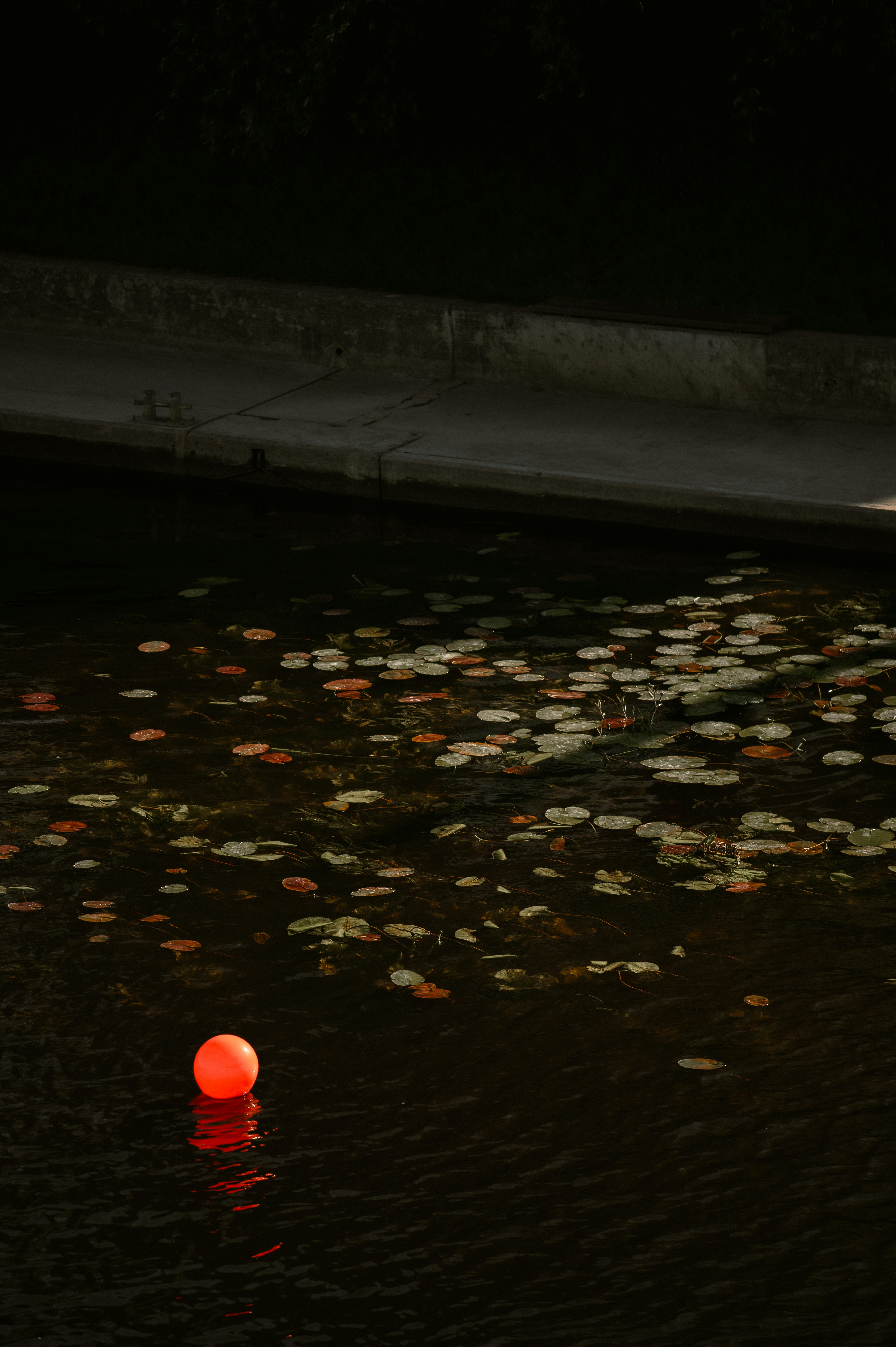Red Buoy, Dark Water: A Quiet Night by the Riverside