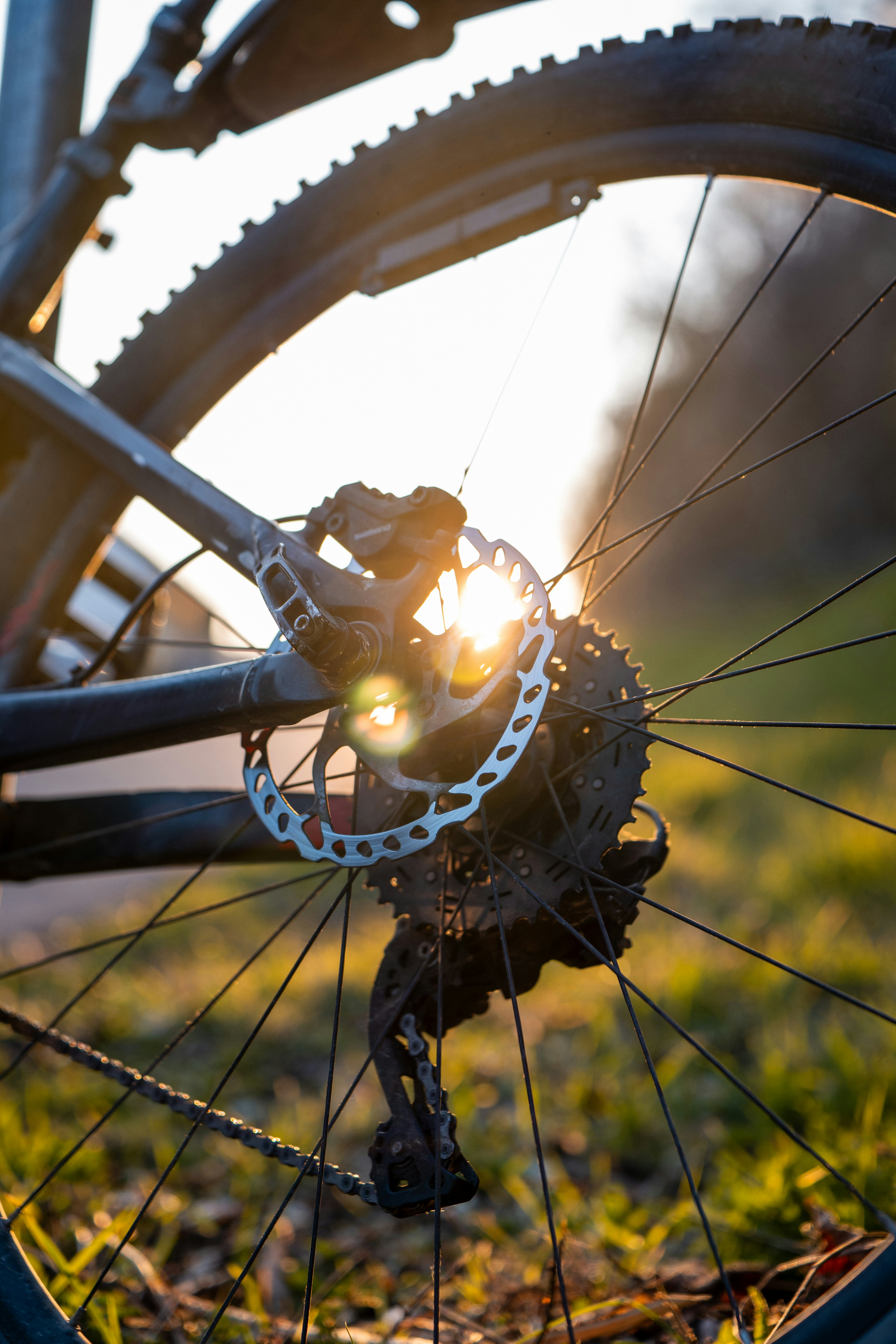 Sunlit Disc: The Bike’s Gears in Quiet Focus at Dusk