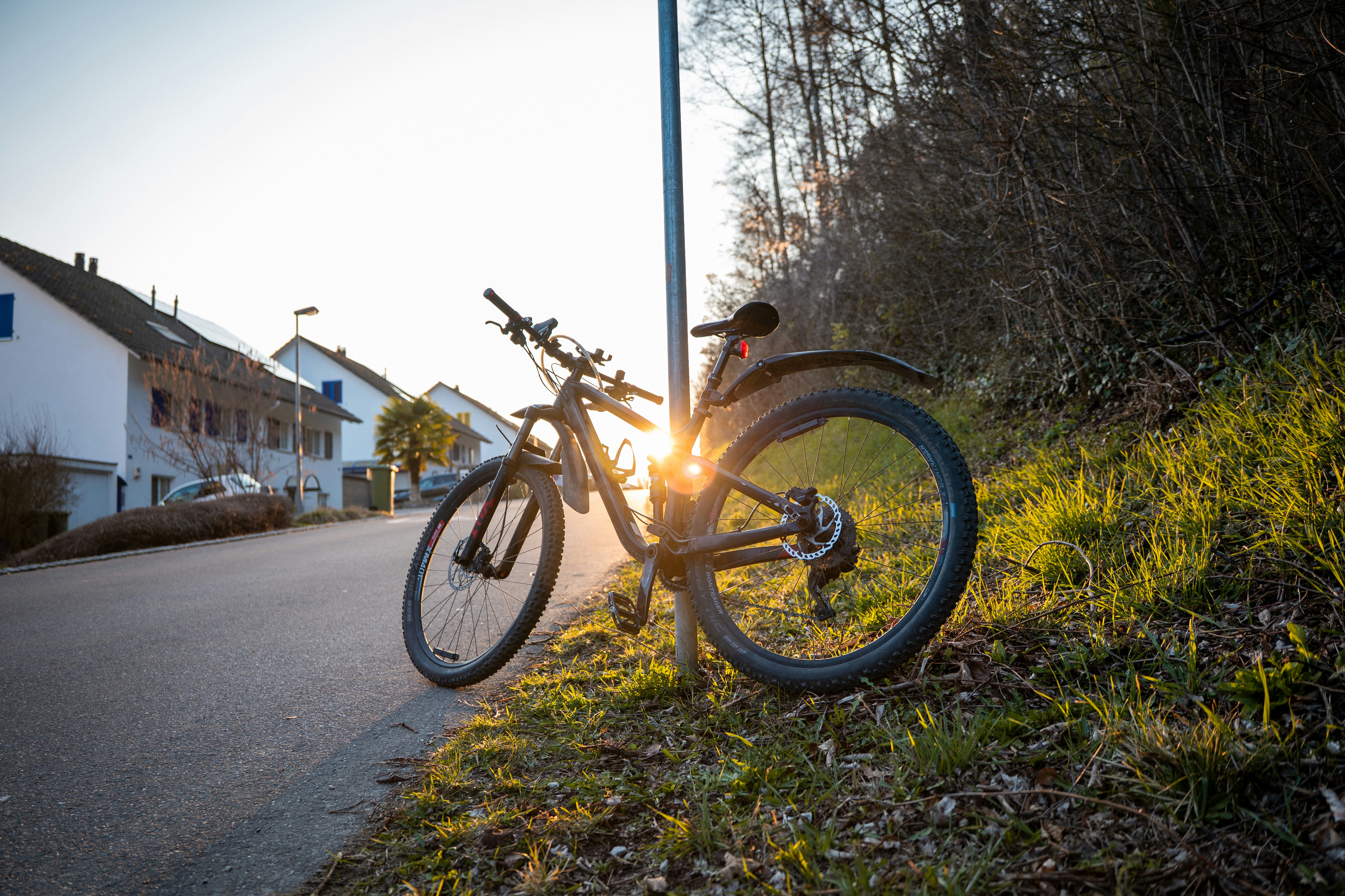 Sunlit Bicycle on the Verge: A Quiet Street Moment