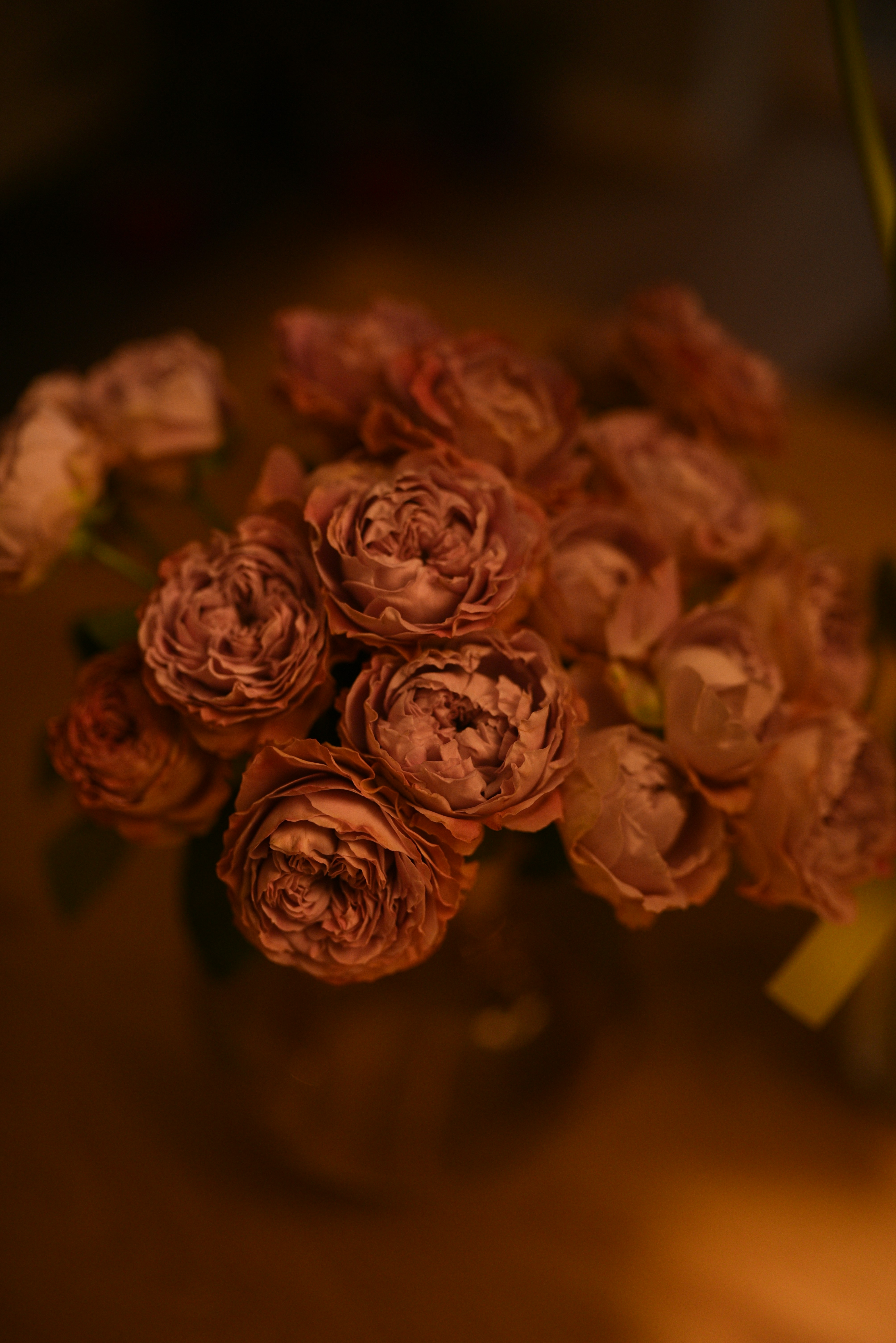 A bouquet of dried pink roses in dim light.