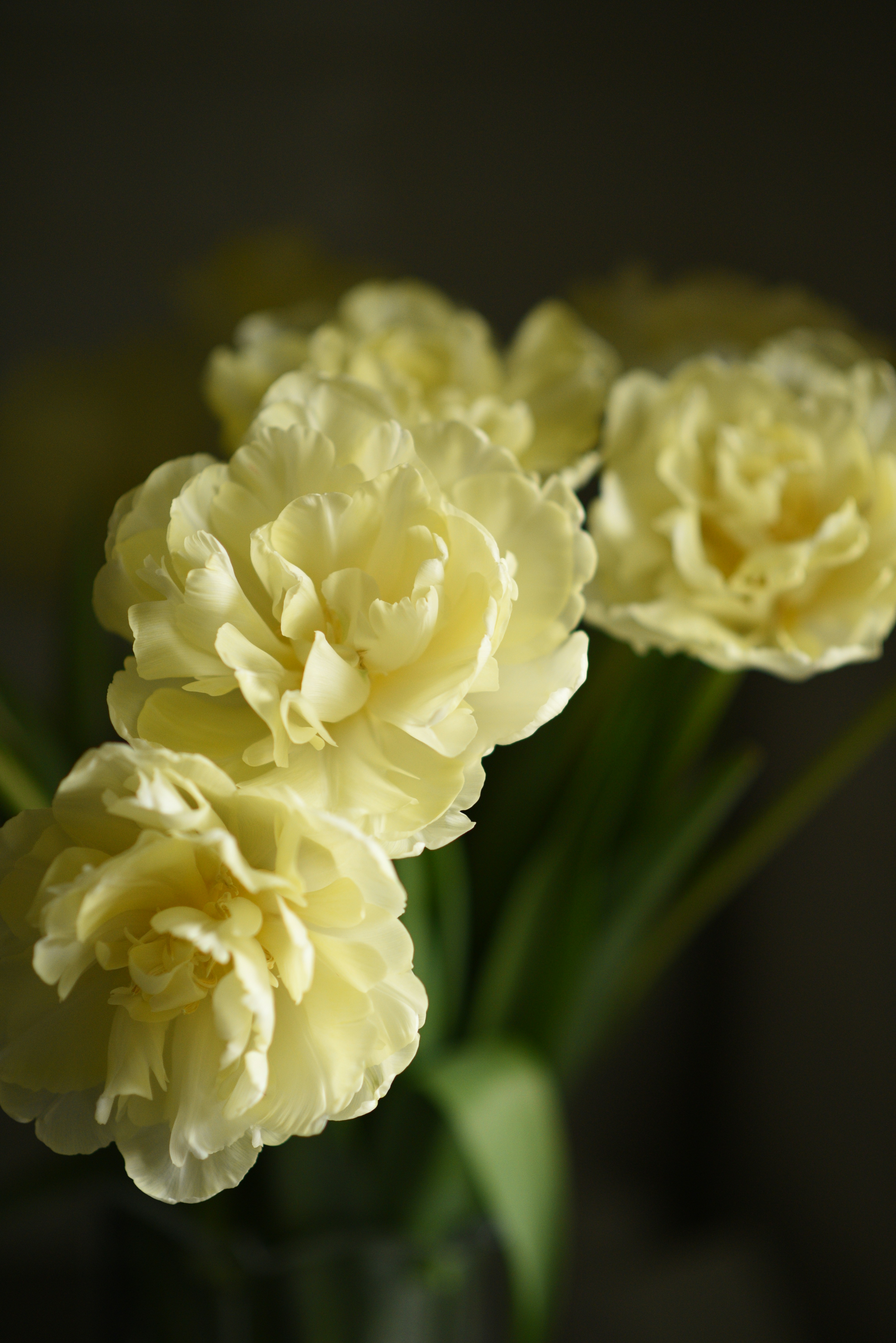 Soft Bound bouquet: pale blooms in a quiet vignette