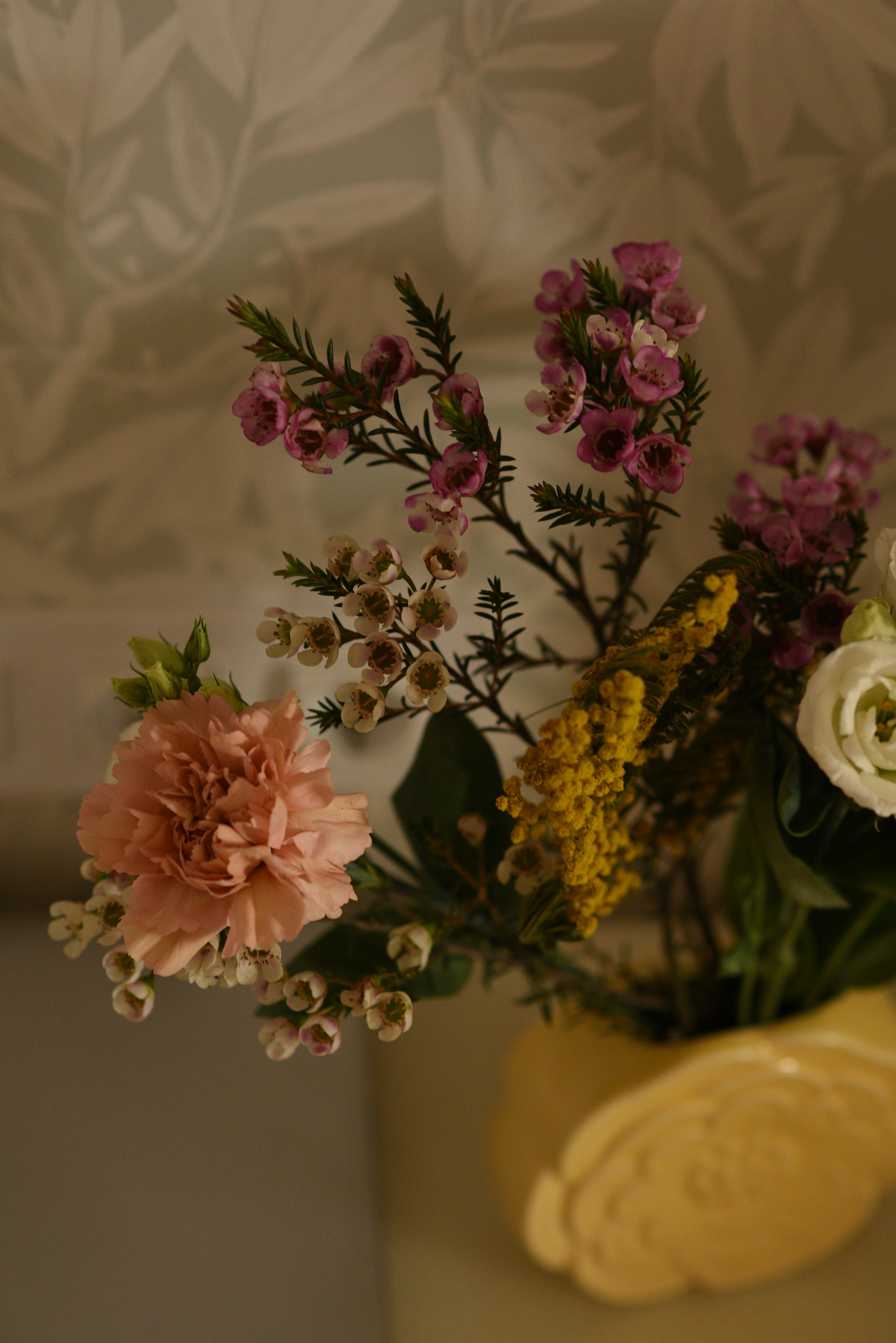 Soft Petals in a Gentle Glow
