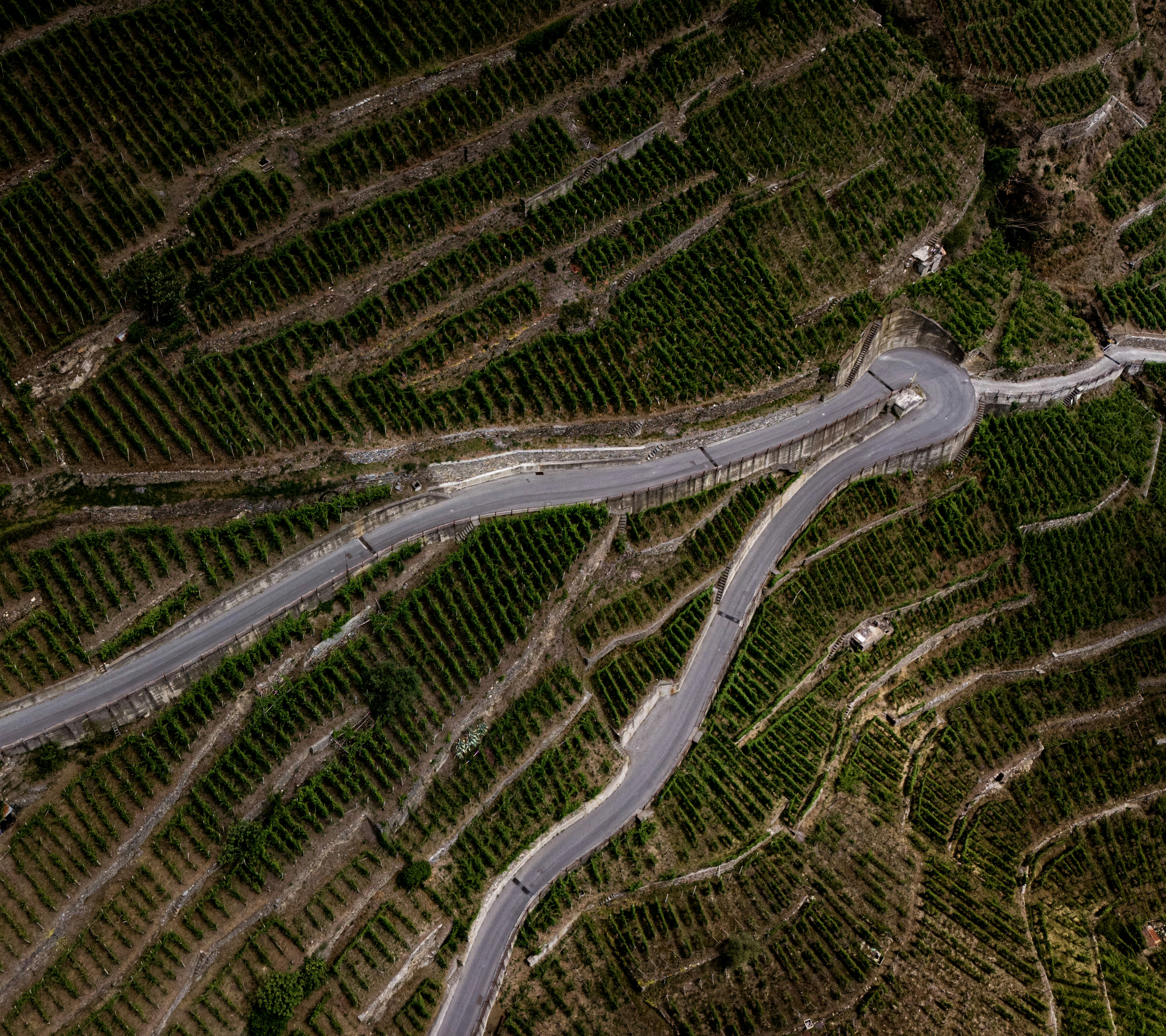 Aerial view of winding roads through terraced vineyards.