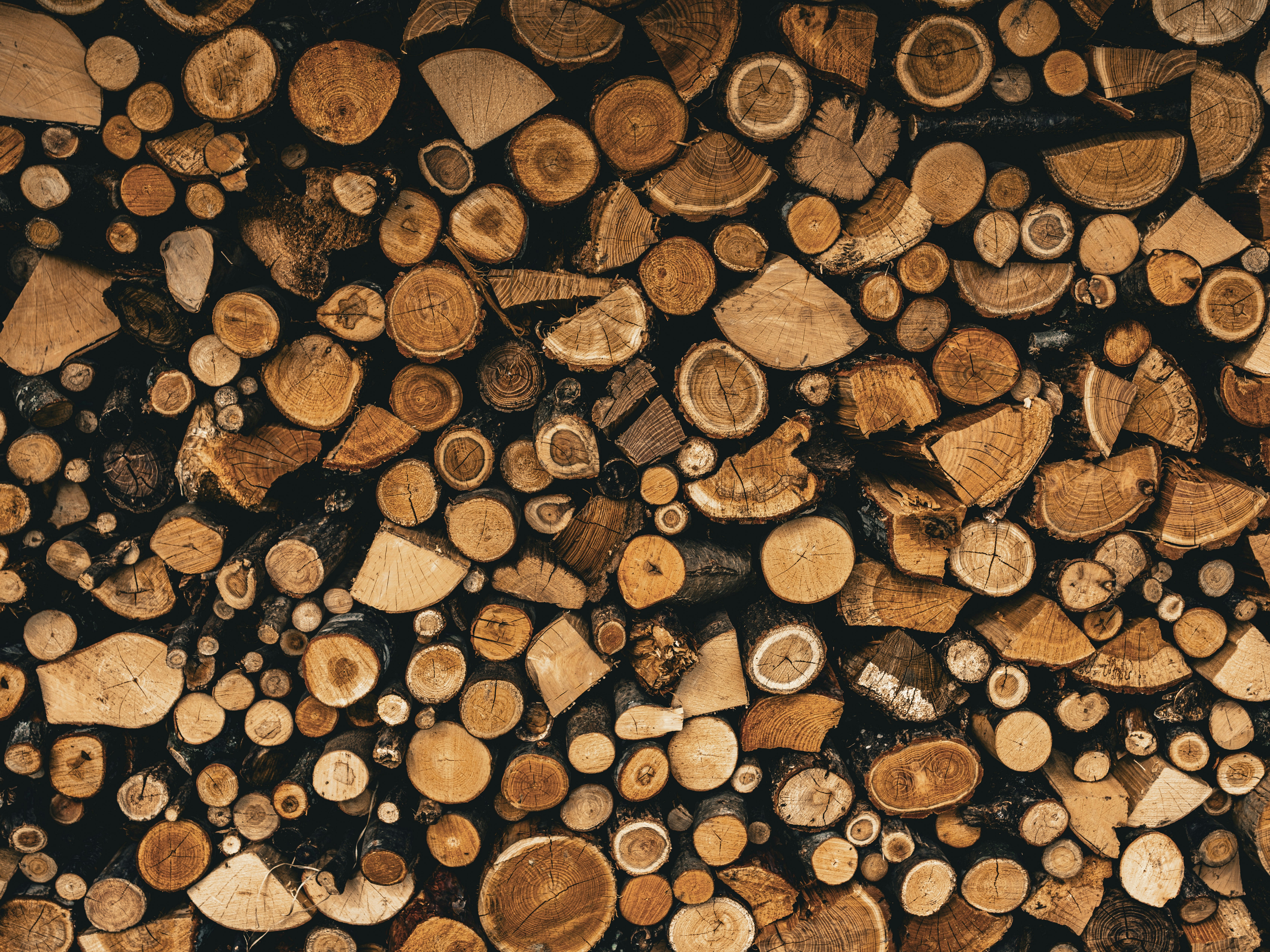 Neatly stacked firewood logs with visible wood grain texture.