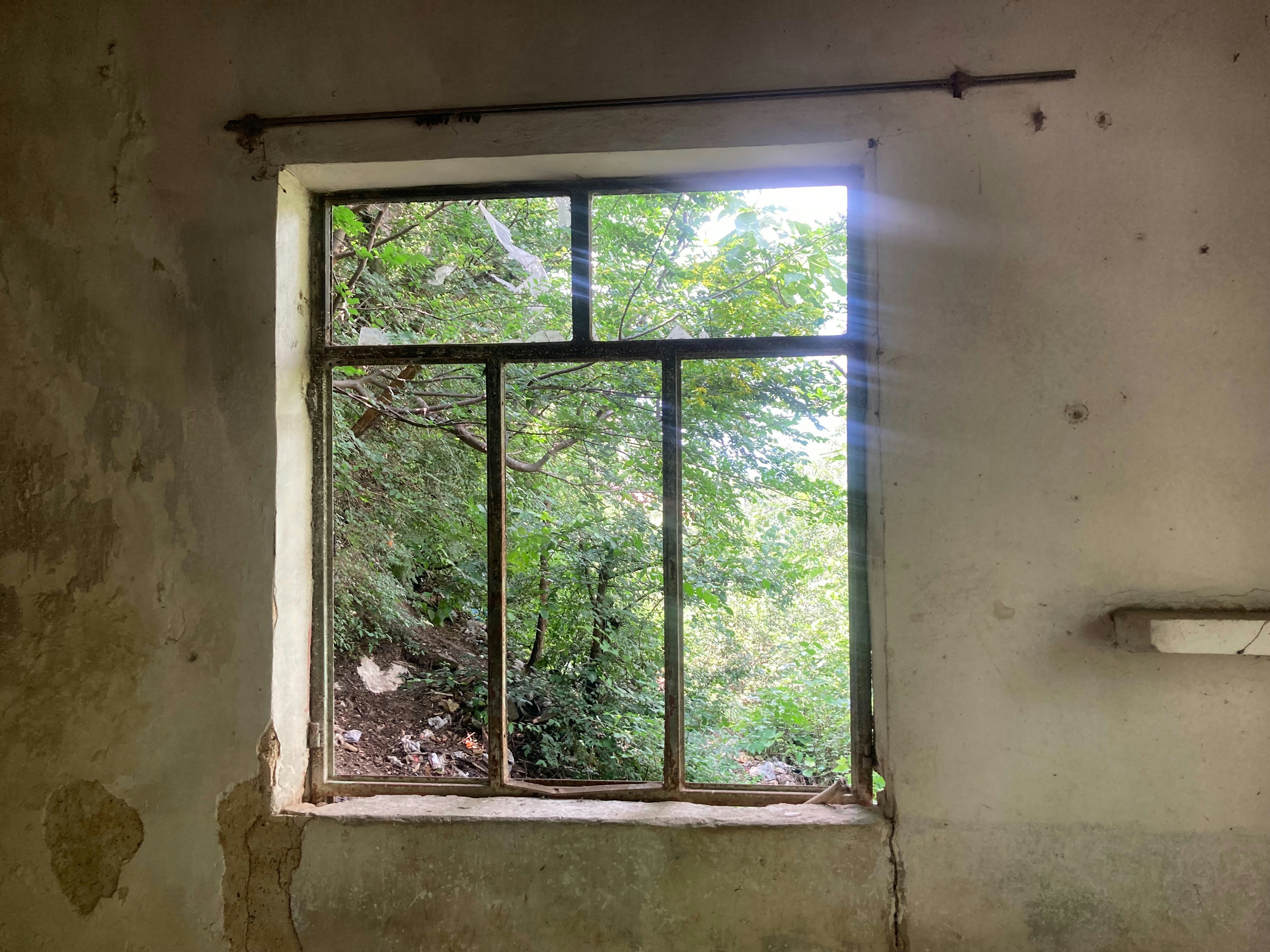Windowsill to the Woods: a decayed interior frames a verdant patch